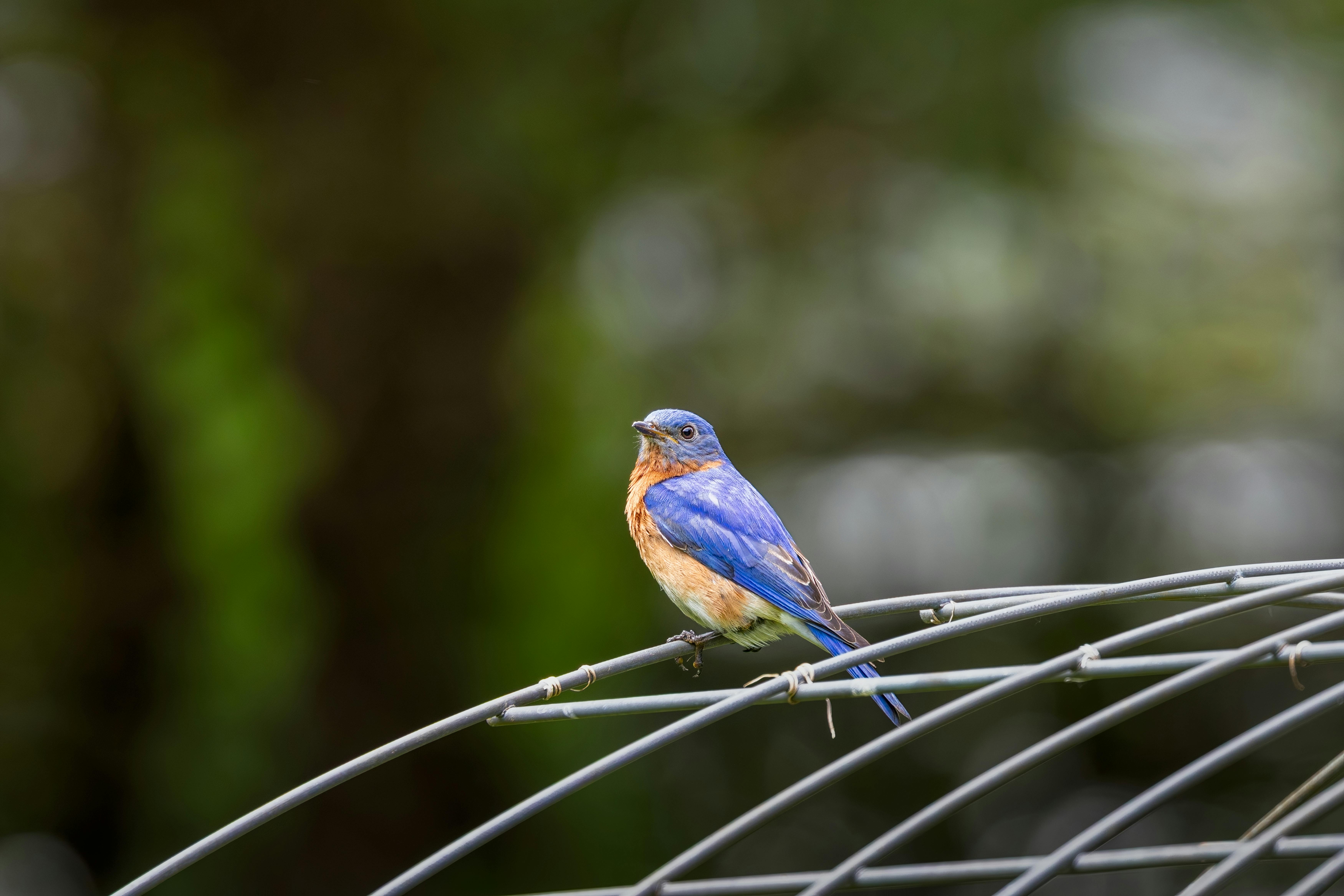 Eink Wallpaper Photos, Download The BEST Free Eink Wallpaper Stock ...