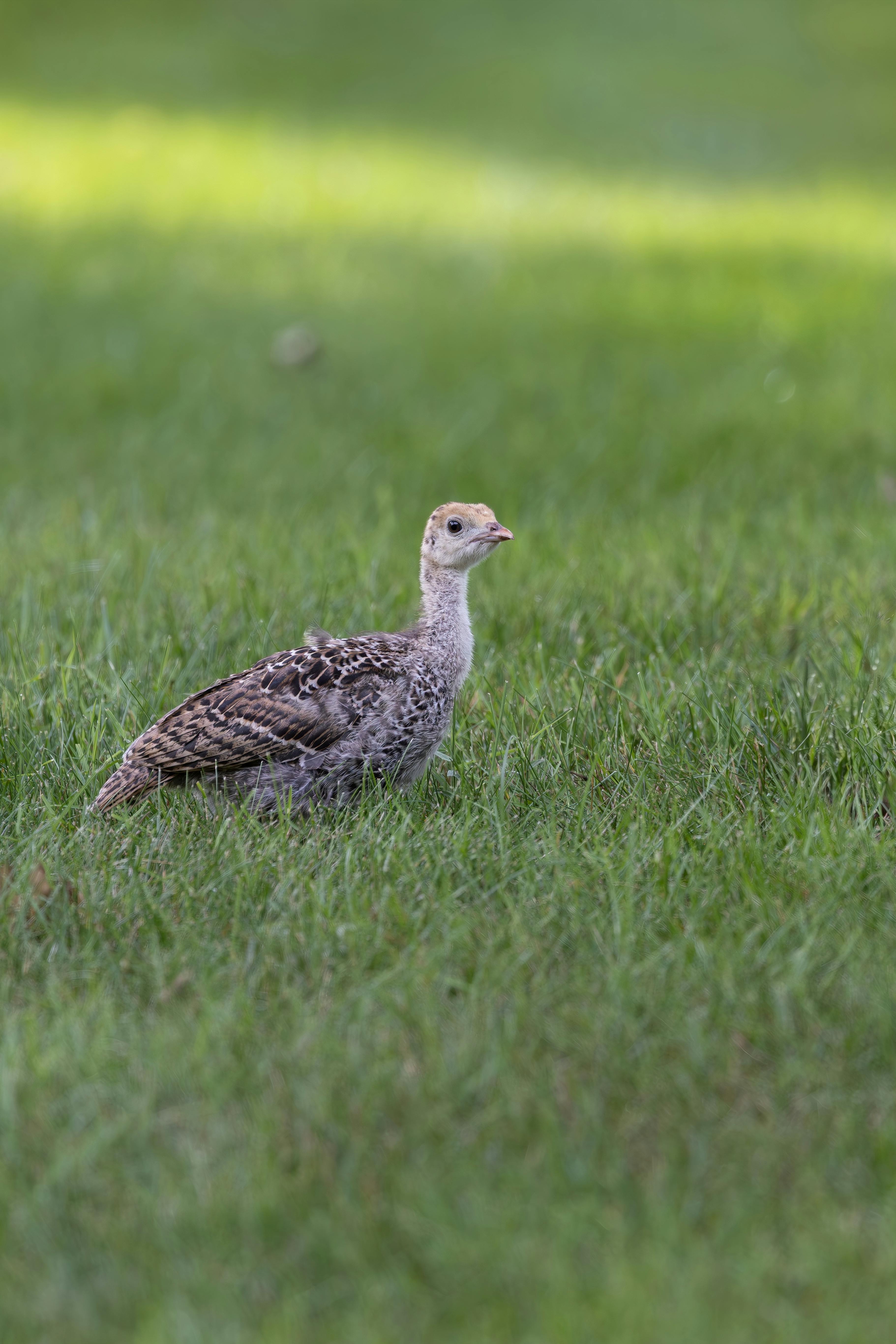 Printer Wallpaper Photos, Download The BEST Free Printer Wallpaper ...