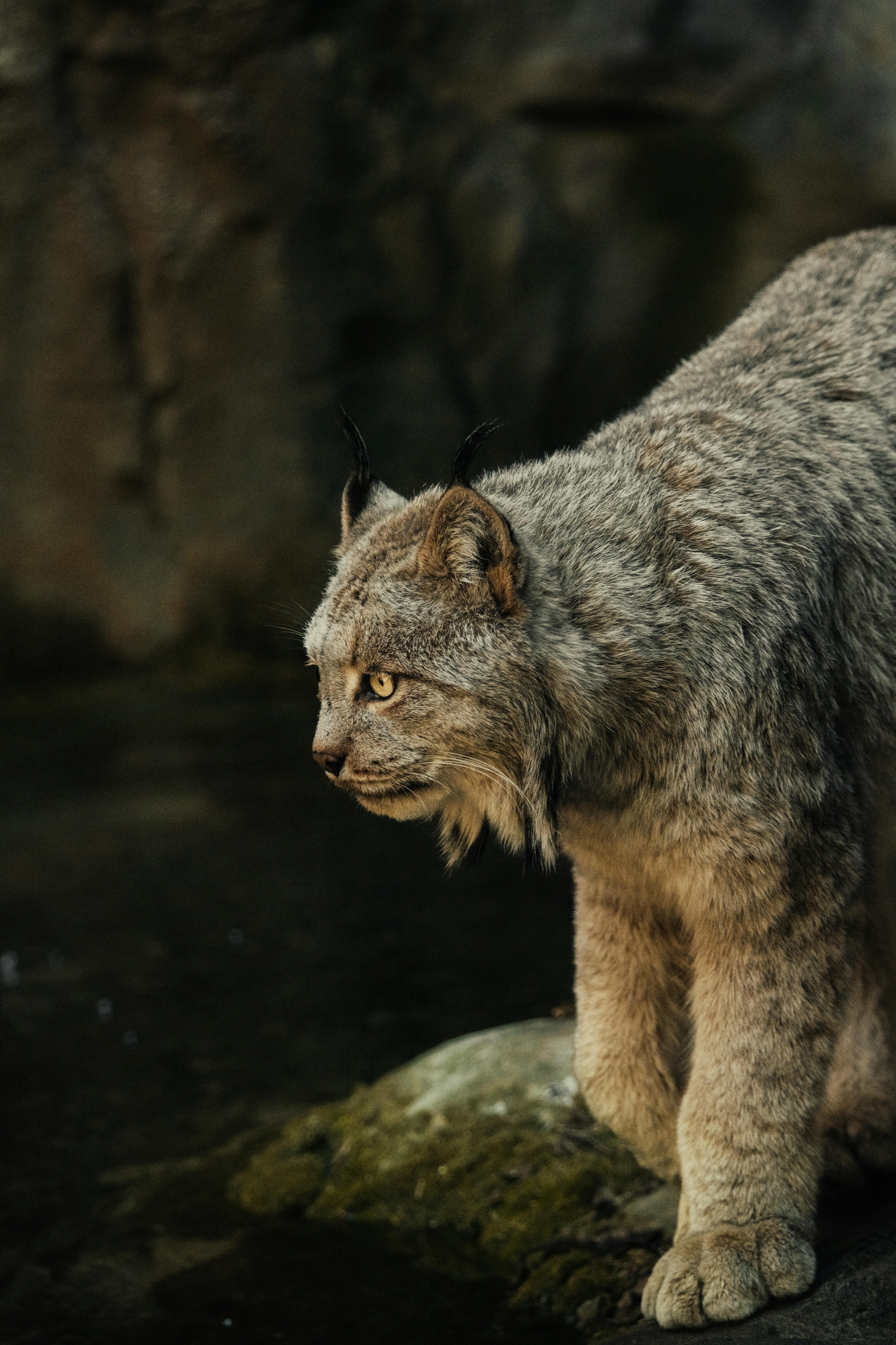 Le 100.000+ migliori foto di Wallpaper 4k For Lock Screen · Download ...