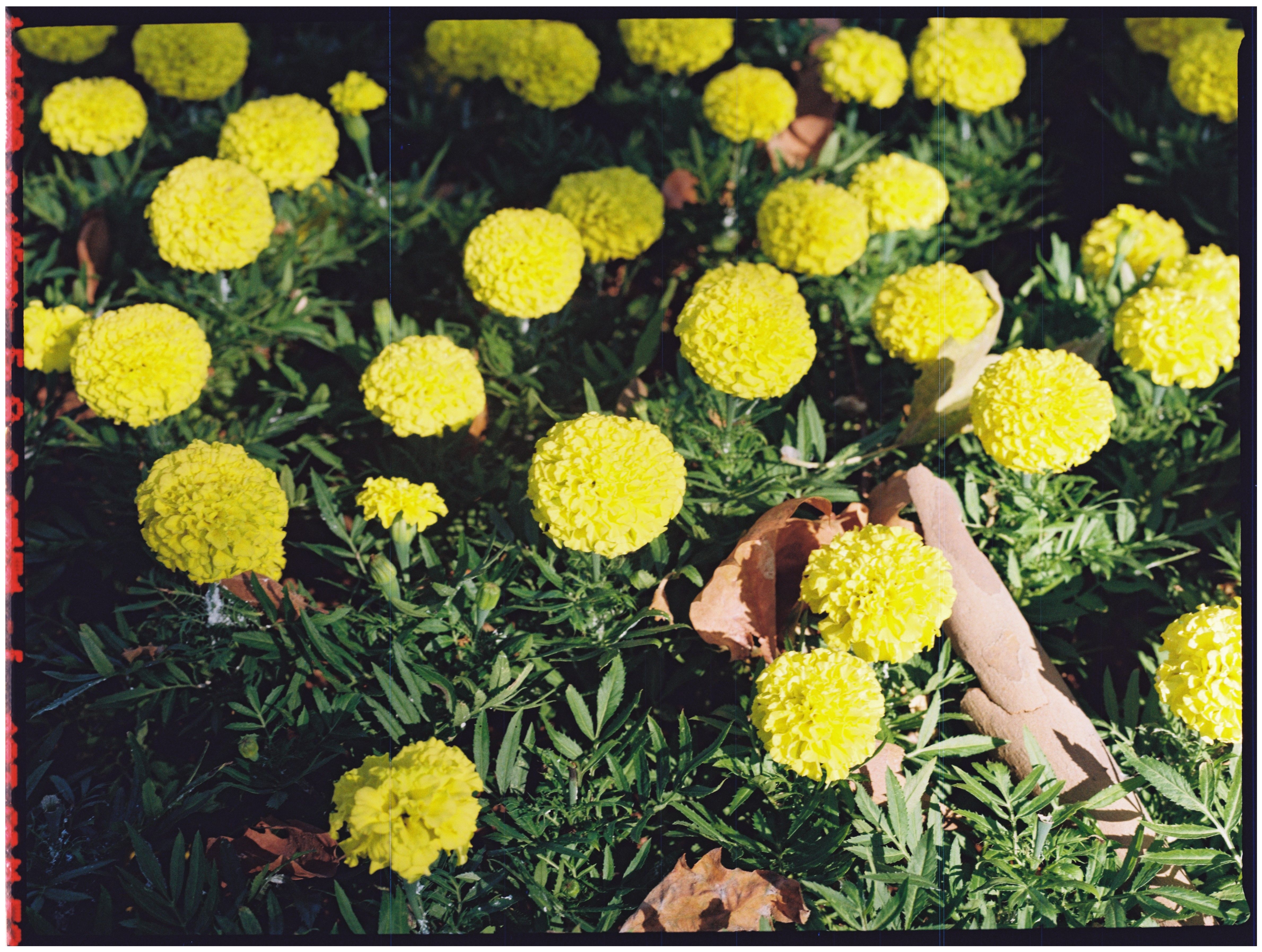 Bright Light Photos, Download The BEST Free Bright Light Stock Photos ...