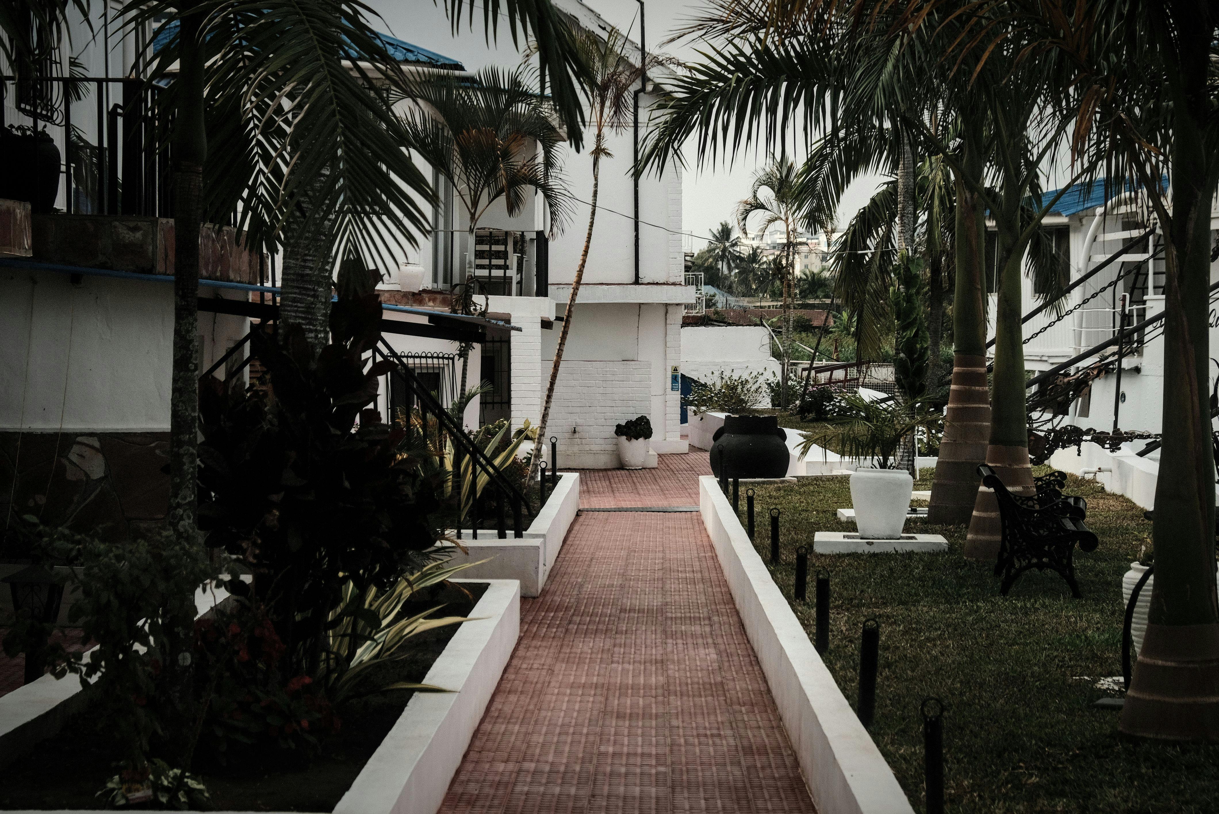 Nature Aesthetic Photos, Download The BEST Free Nature Aesthetic Stock ...