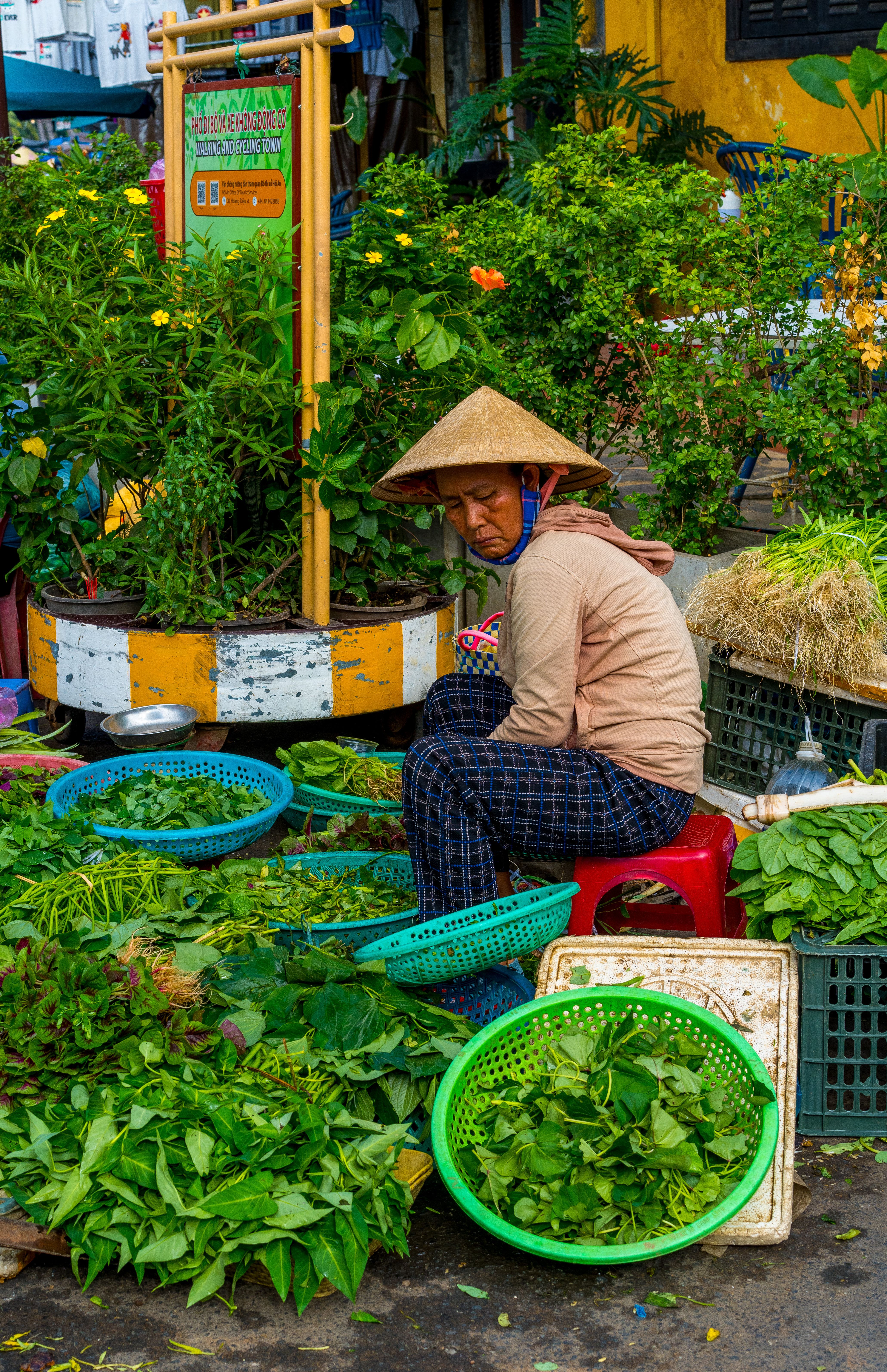 Traditional Vietnamese Vendor in Hội An Market · Free Stock Photo