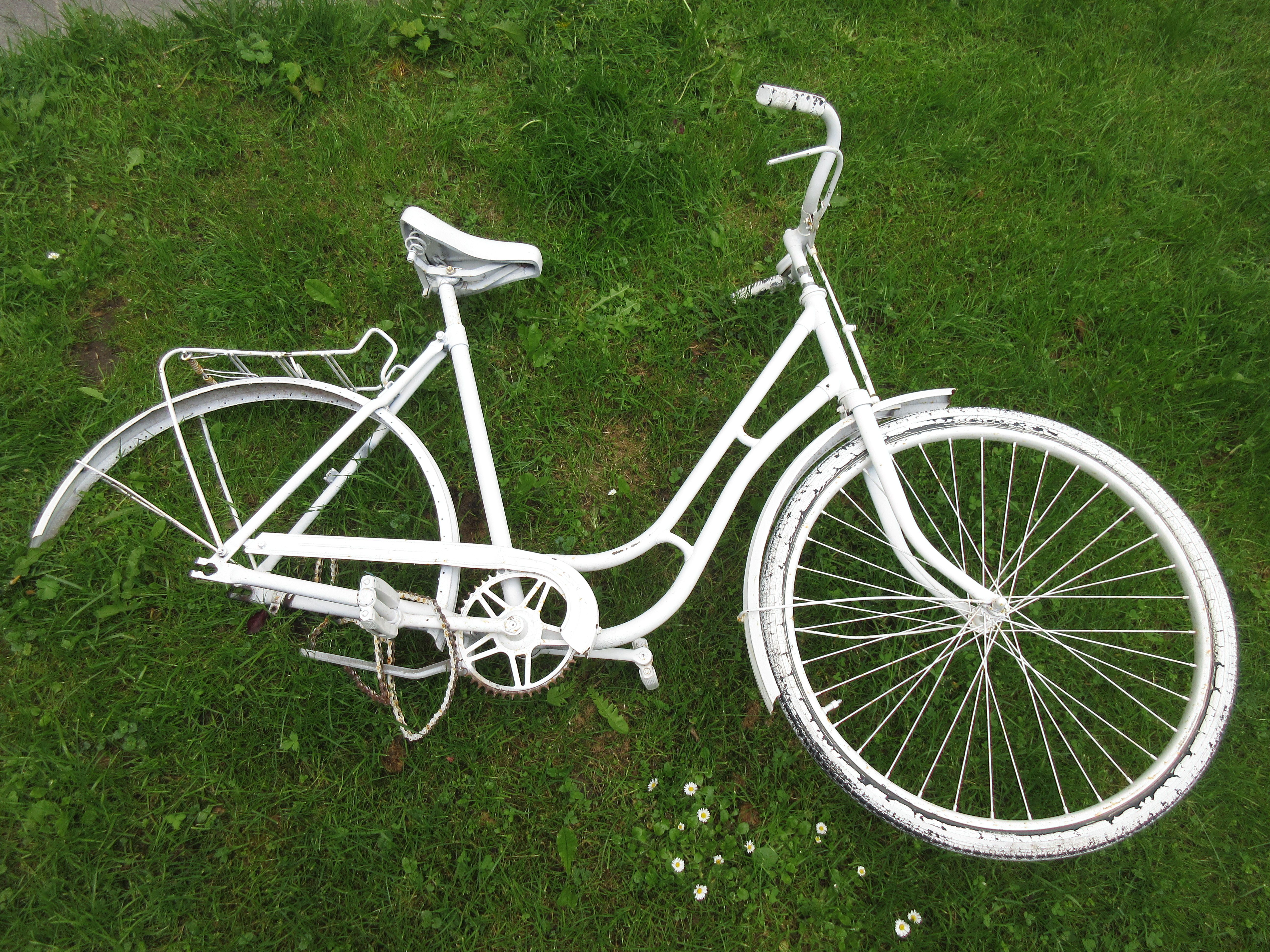 White Painted Bicycle on Green Grass Landscape · Free Stock Photo