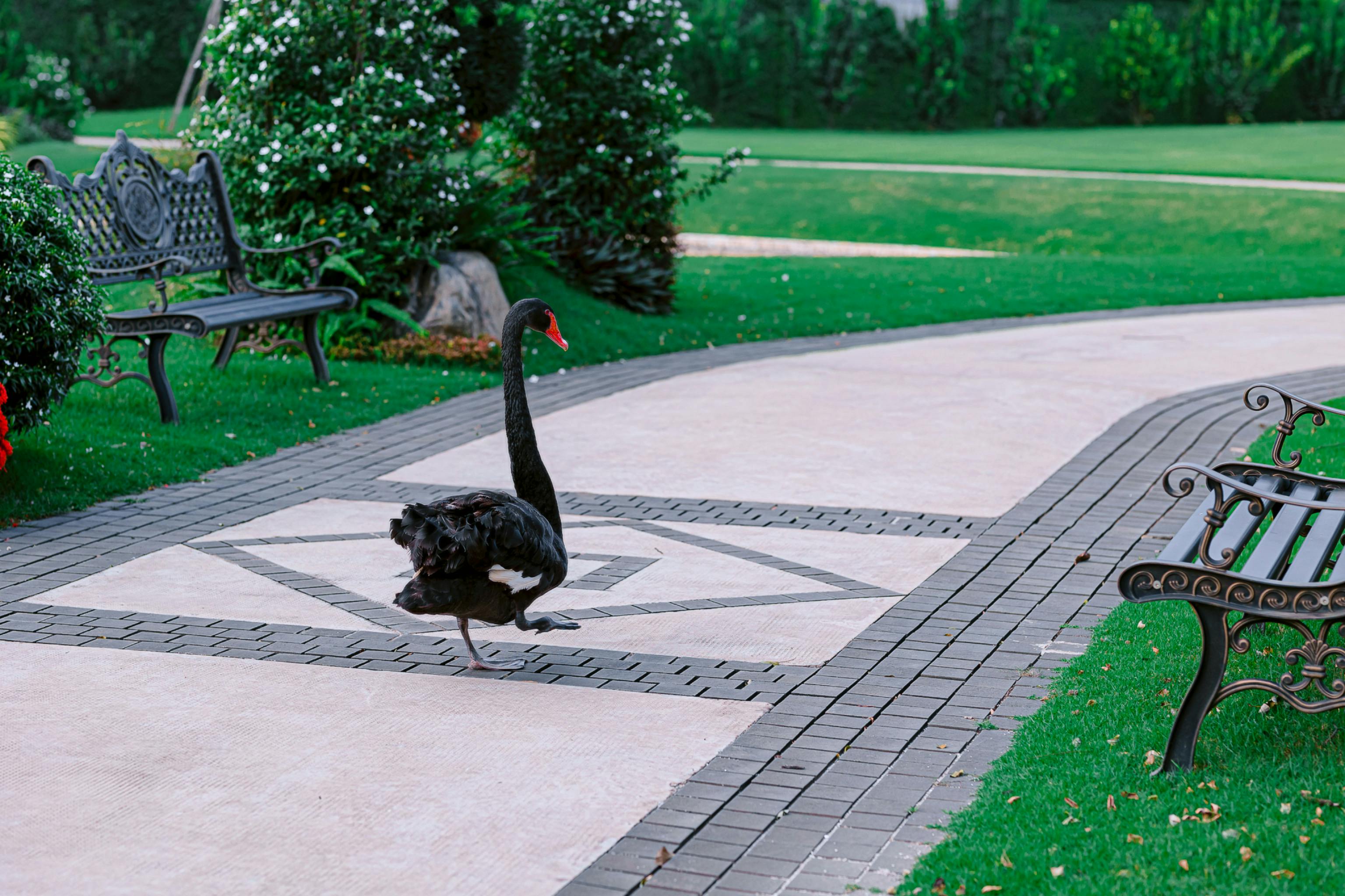 Barelina Idle Photos, Download The BEST Free Barelina Idle Stock Photos ...