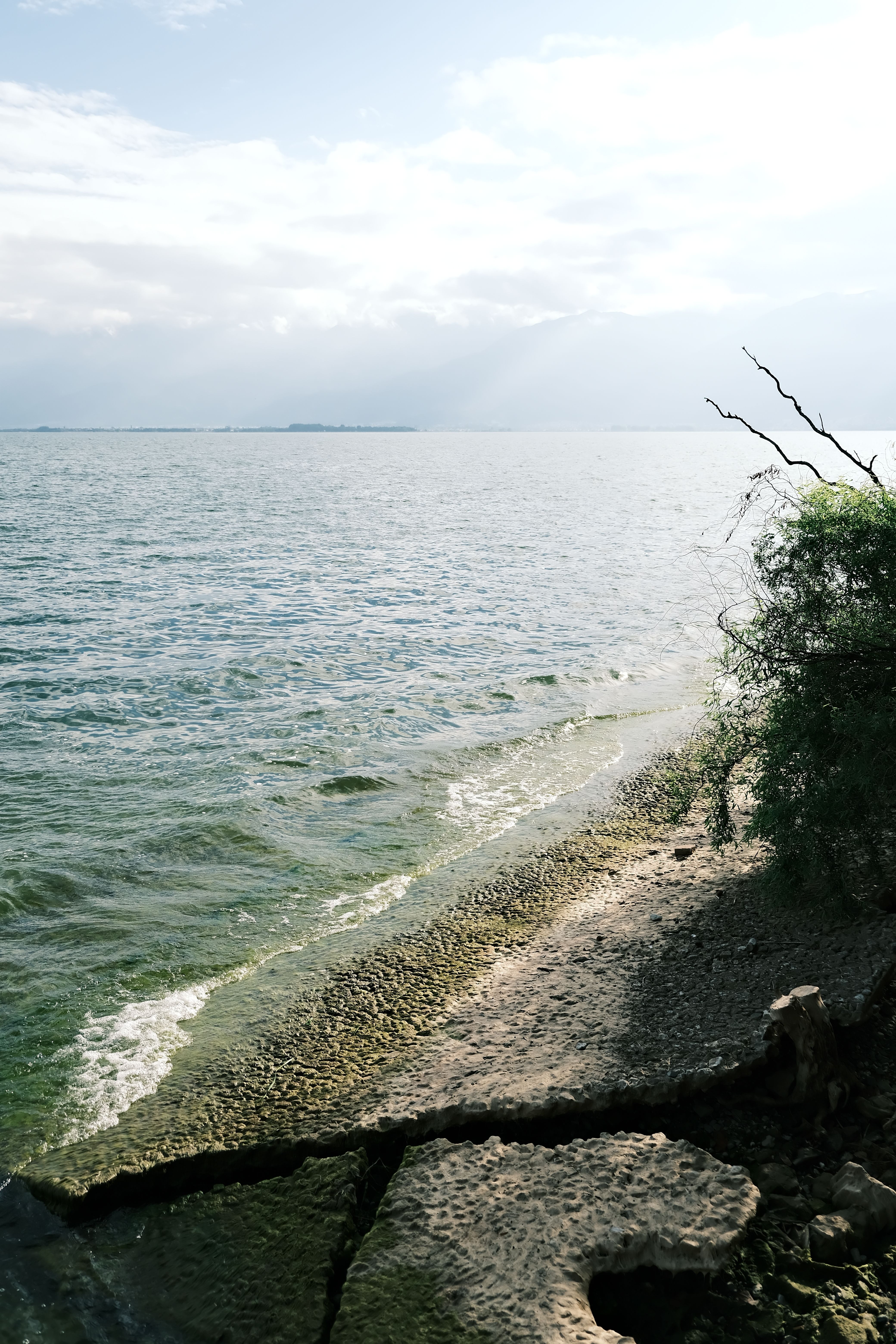 Tranquil Ocean Shoreline with Waves and Scenic View · Free Stock Photo