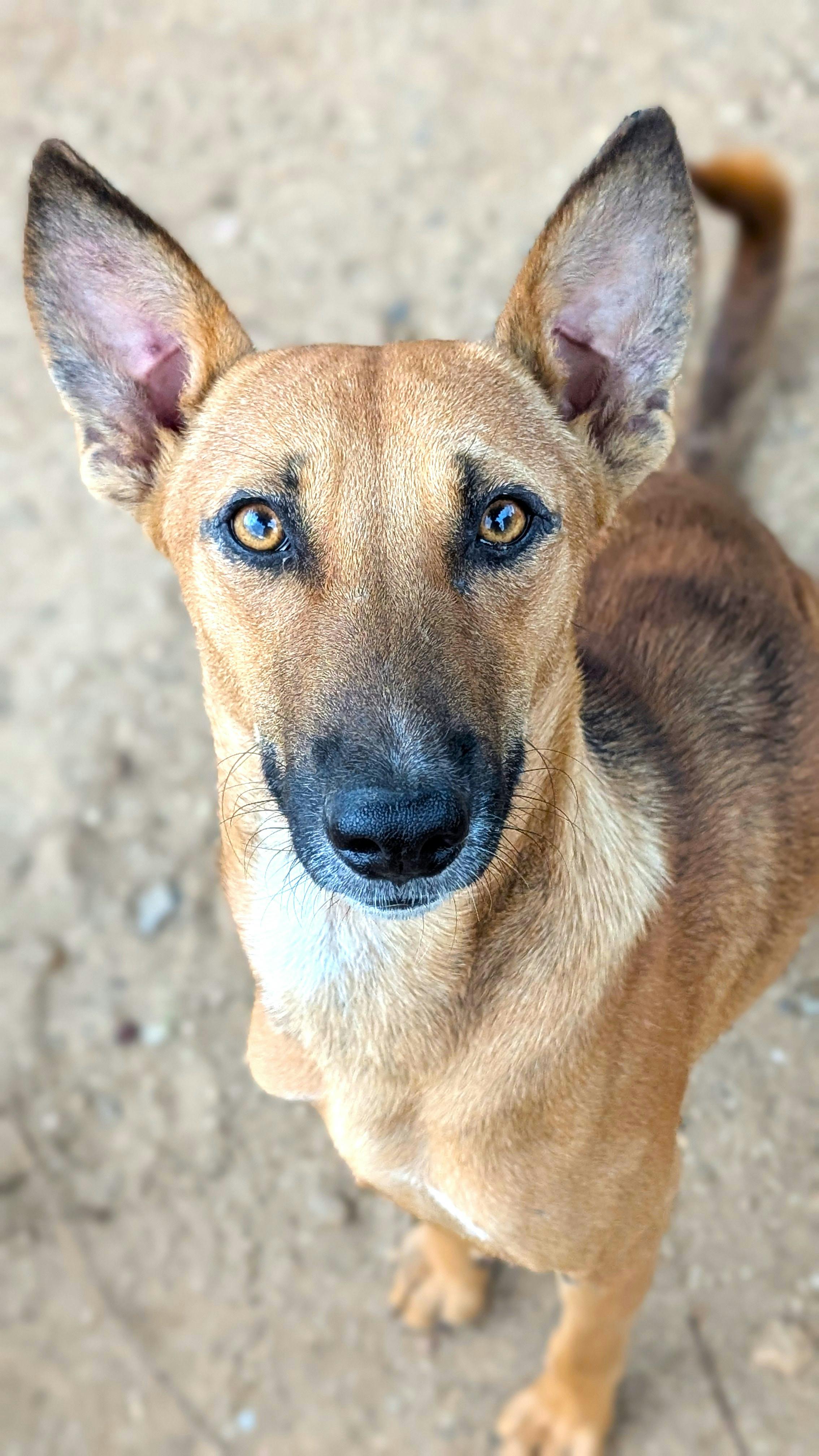 Best+Micro+Bikini+Gifs Photos, Download The BEST Free Best+Micro+Bikini ...