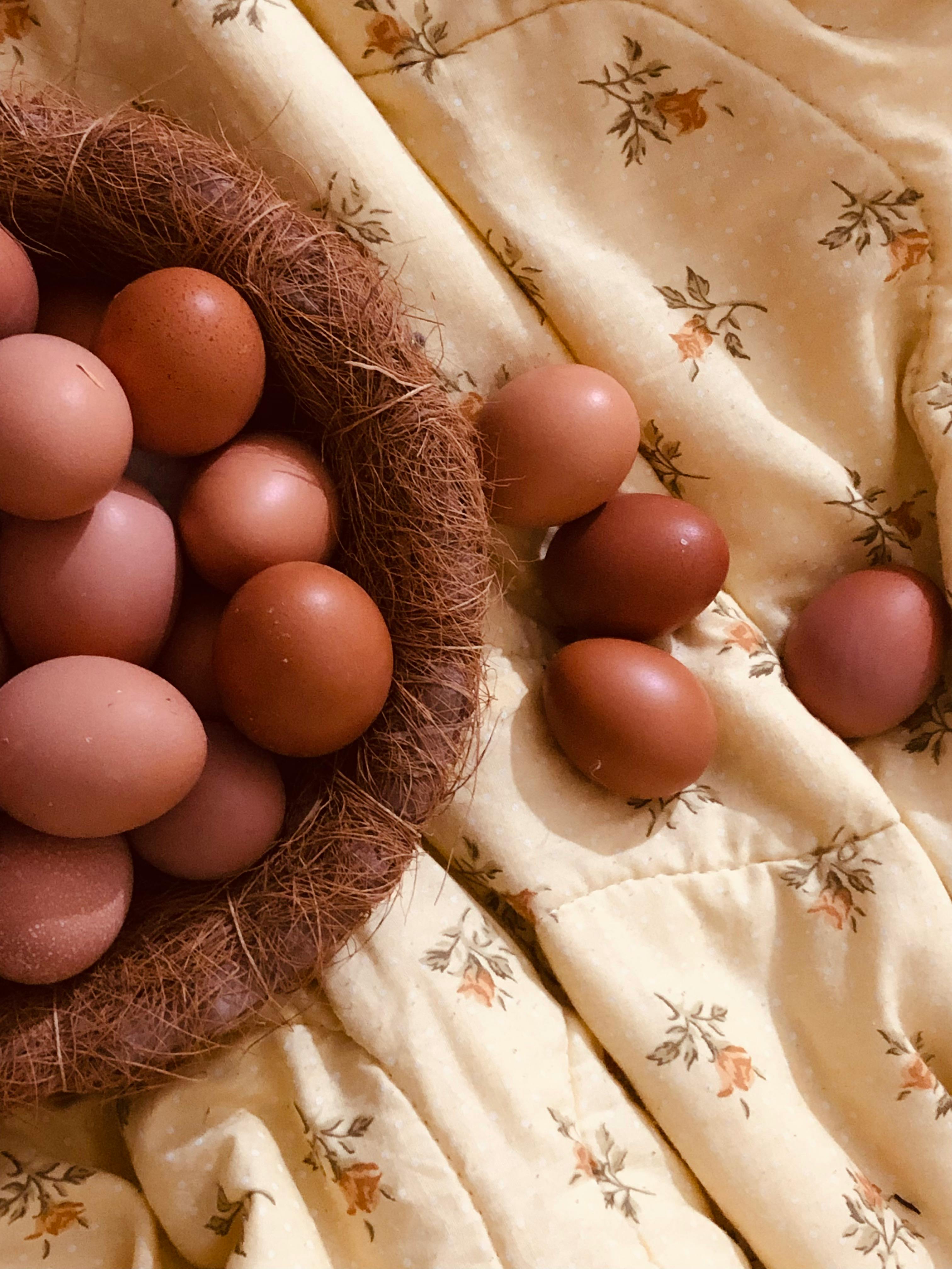 Emily+Compagno+Swimsuit+Collection Photos, Download The BEST Free Emily ...