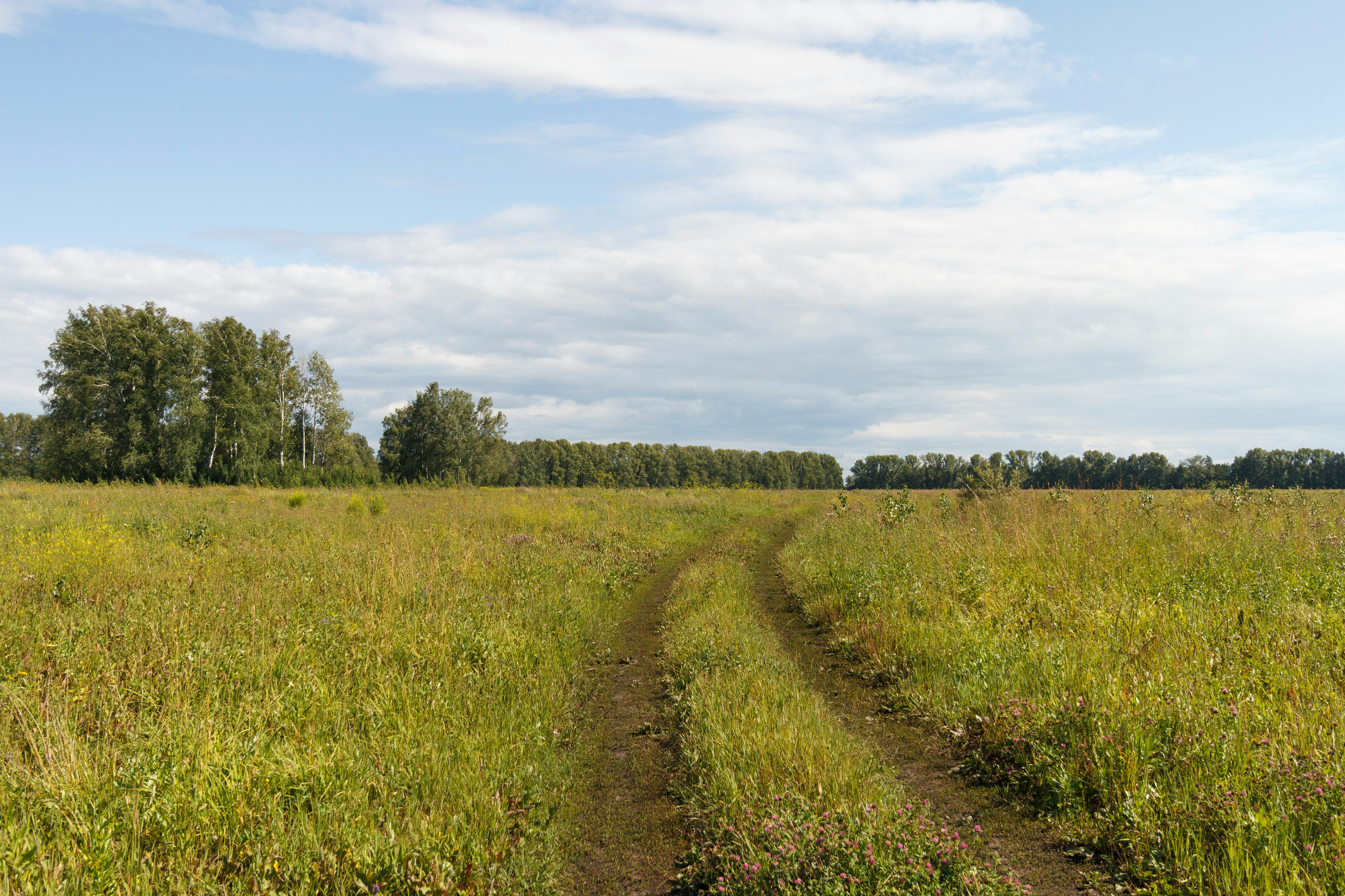 Simple Natural Scenery Photos, Download The BEST Free Simple Natural ...