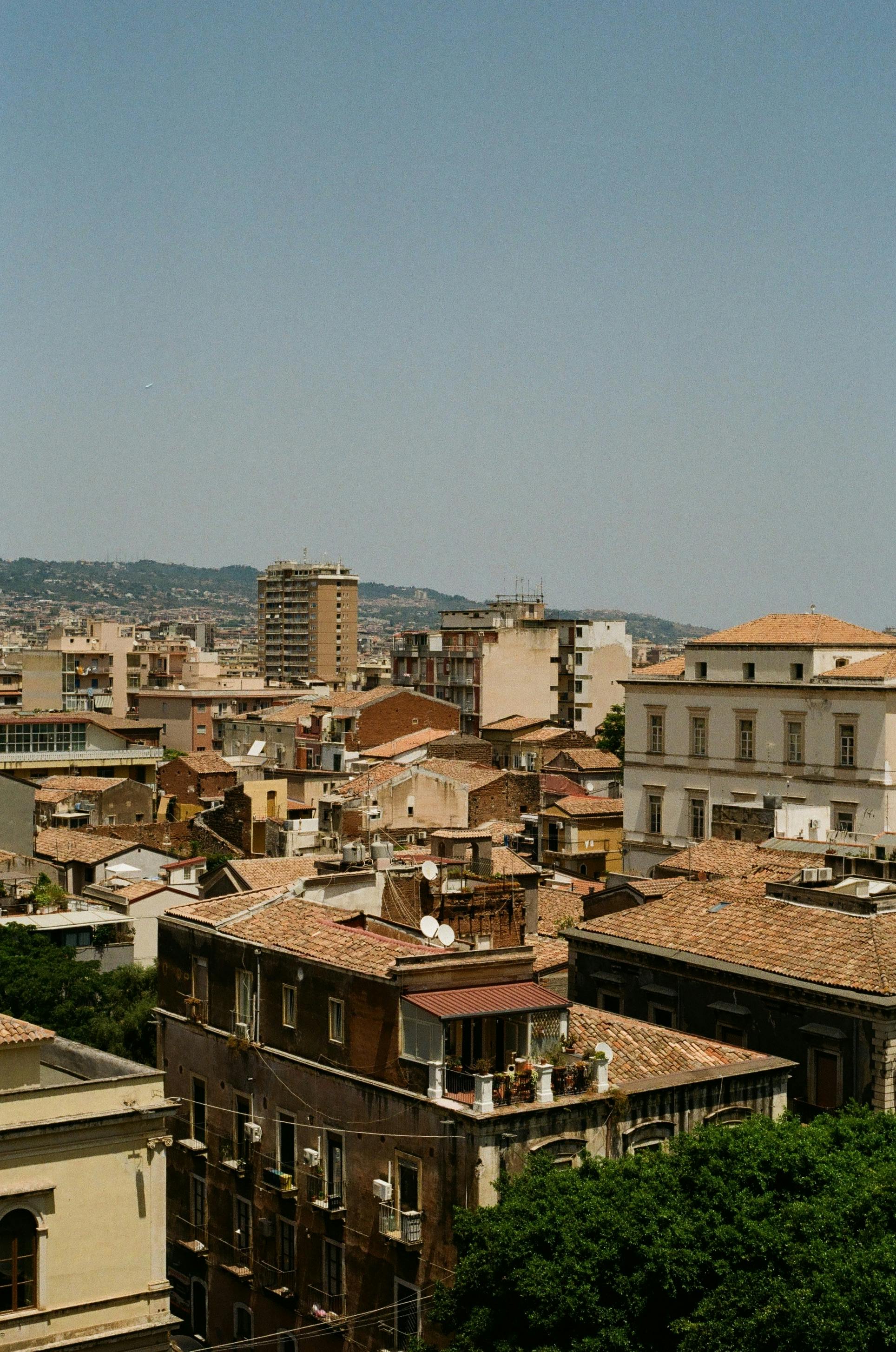 Dee+Dee+Gatton+Bikini+Photos Photos, Download The BEST Free Dee+Dee ...