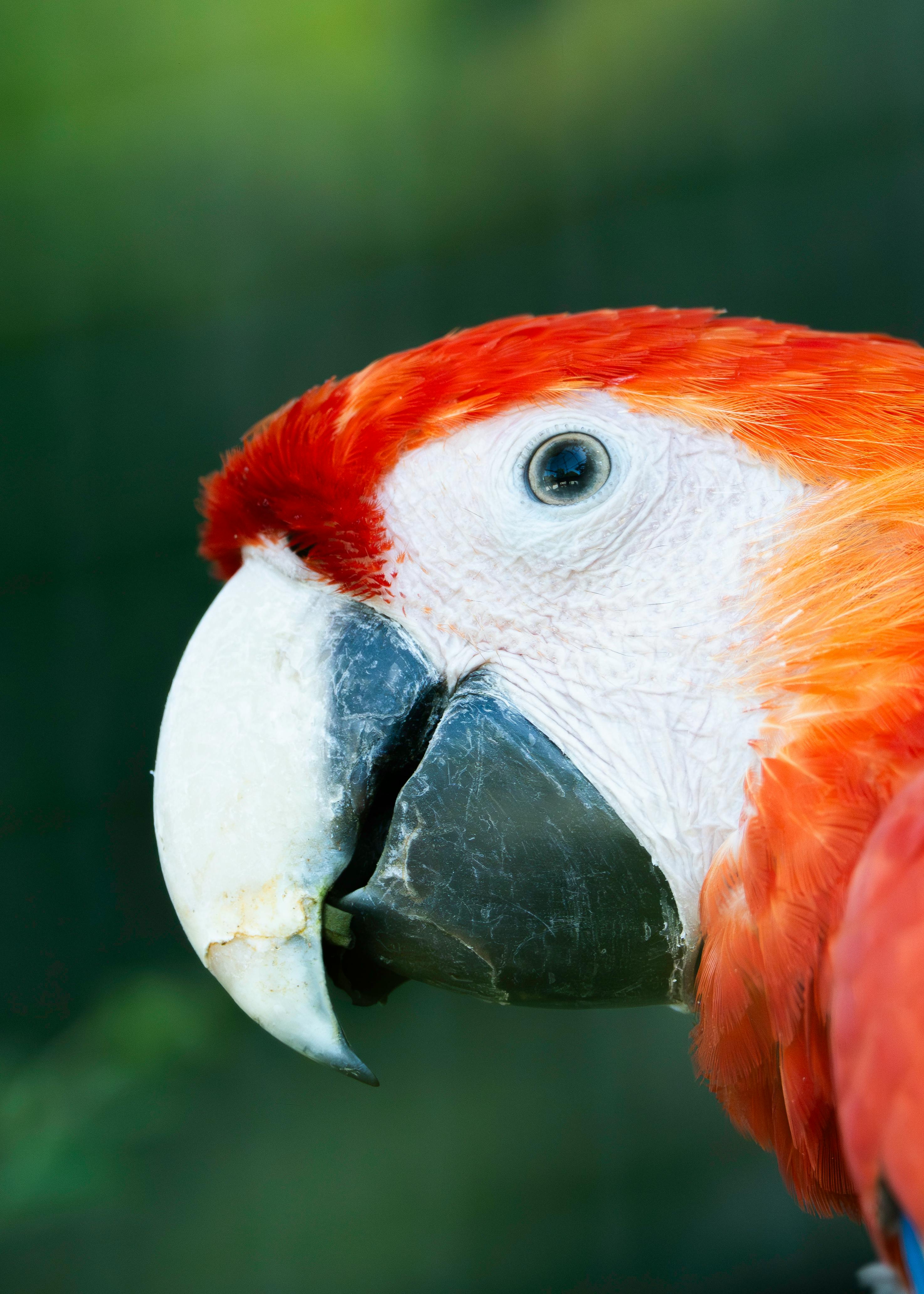 Tuff+Discord+Profile+Pictures Photos, Download The BEST Free Tuff ...