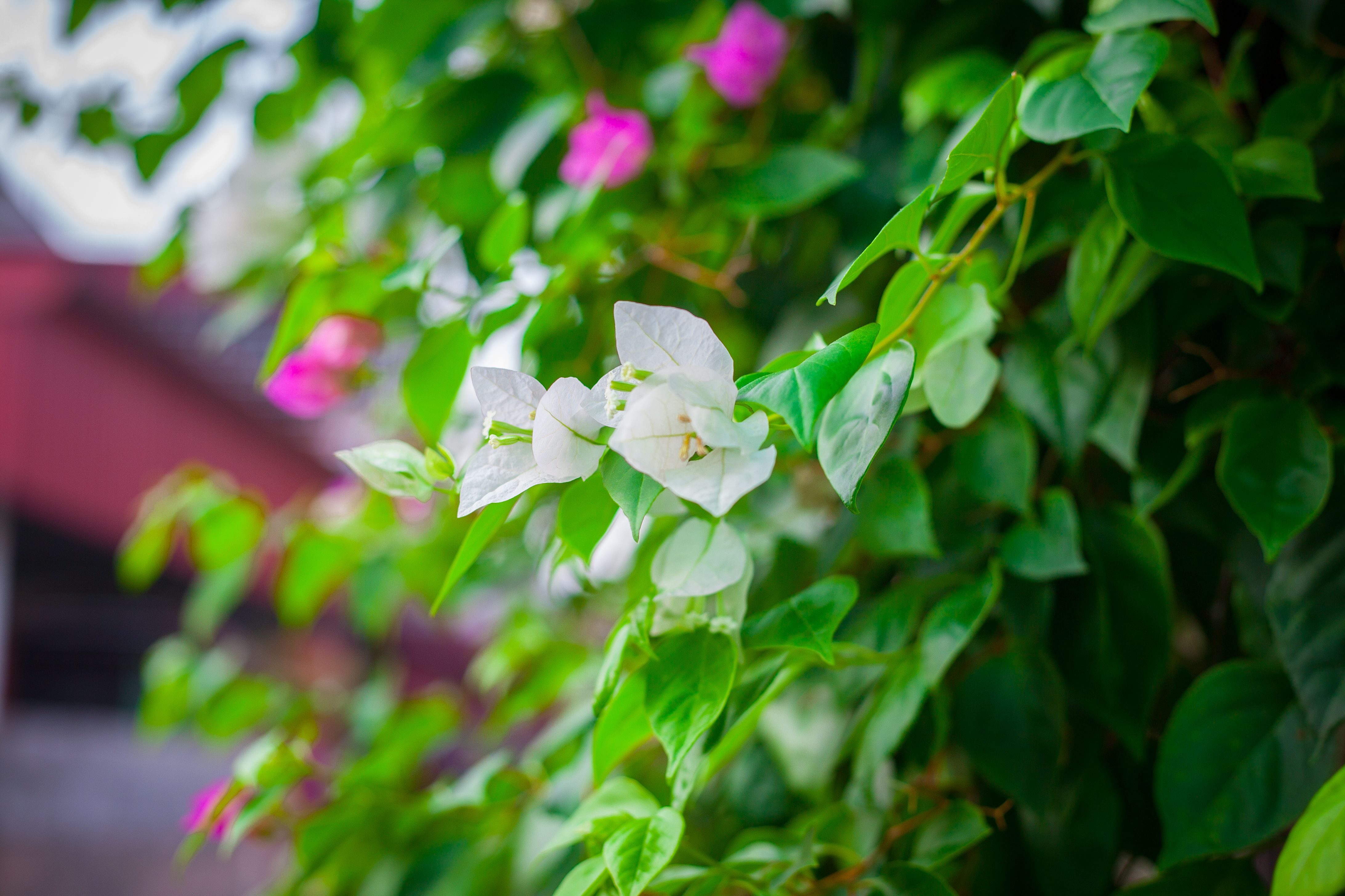 10.000+ ảnh đẹp nhất về Qq Wallpaper · Tải xuống miễn phí 100% · Ảnh có ...