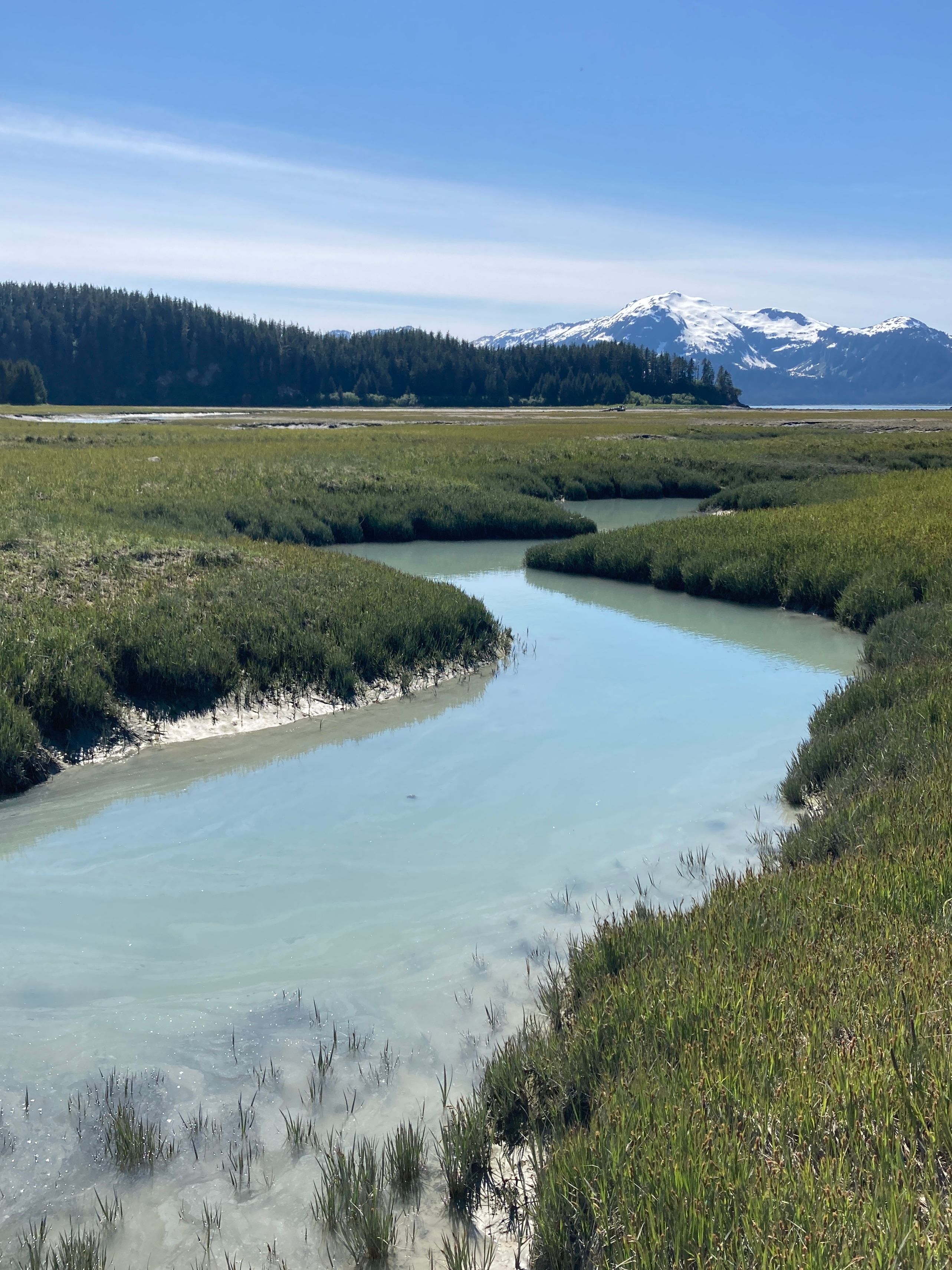 Alaska Moss Photos, Download The BEST Free Alaska Moss Stock Photos ...