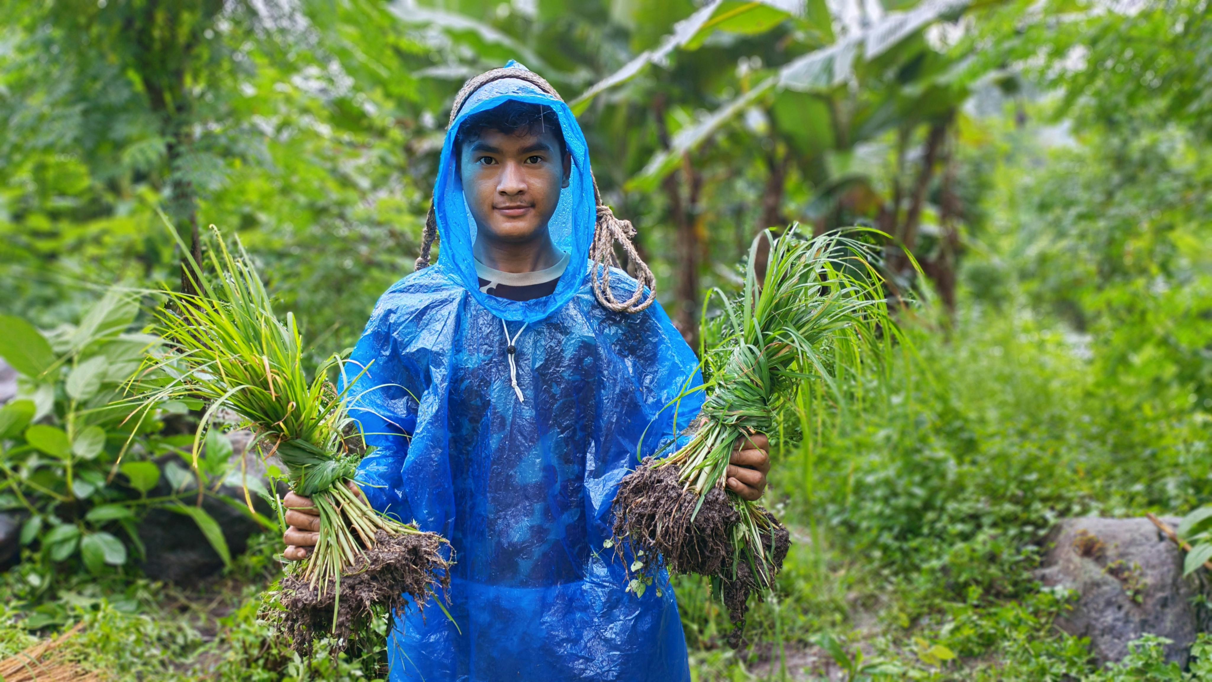 Rain Crops Photos, Download The BEST Free Rain Crops Stock Photos & HD ...