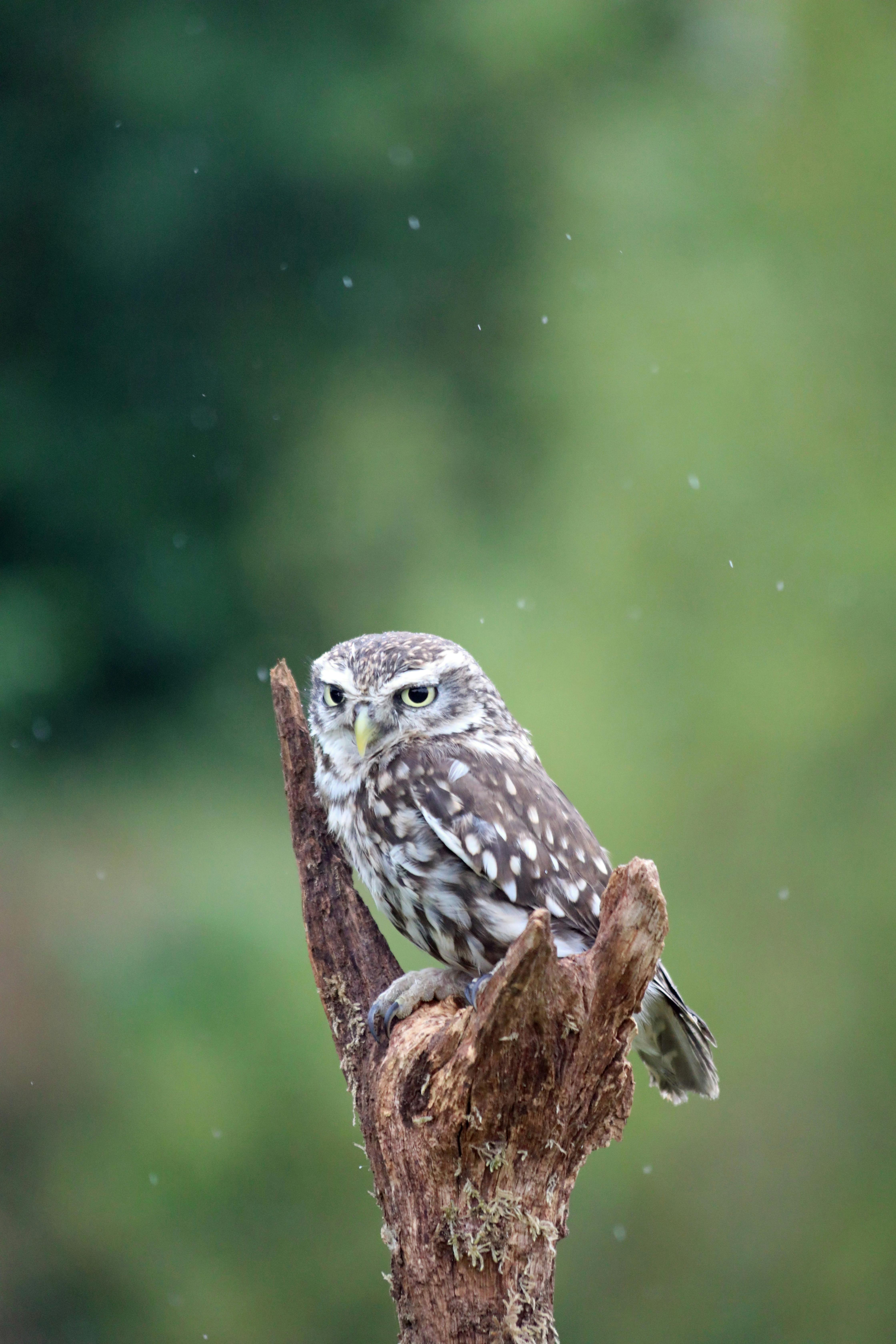 Little+Pixels Photos, Download The BEST Free Little+Pixels Stock Photos ...