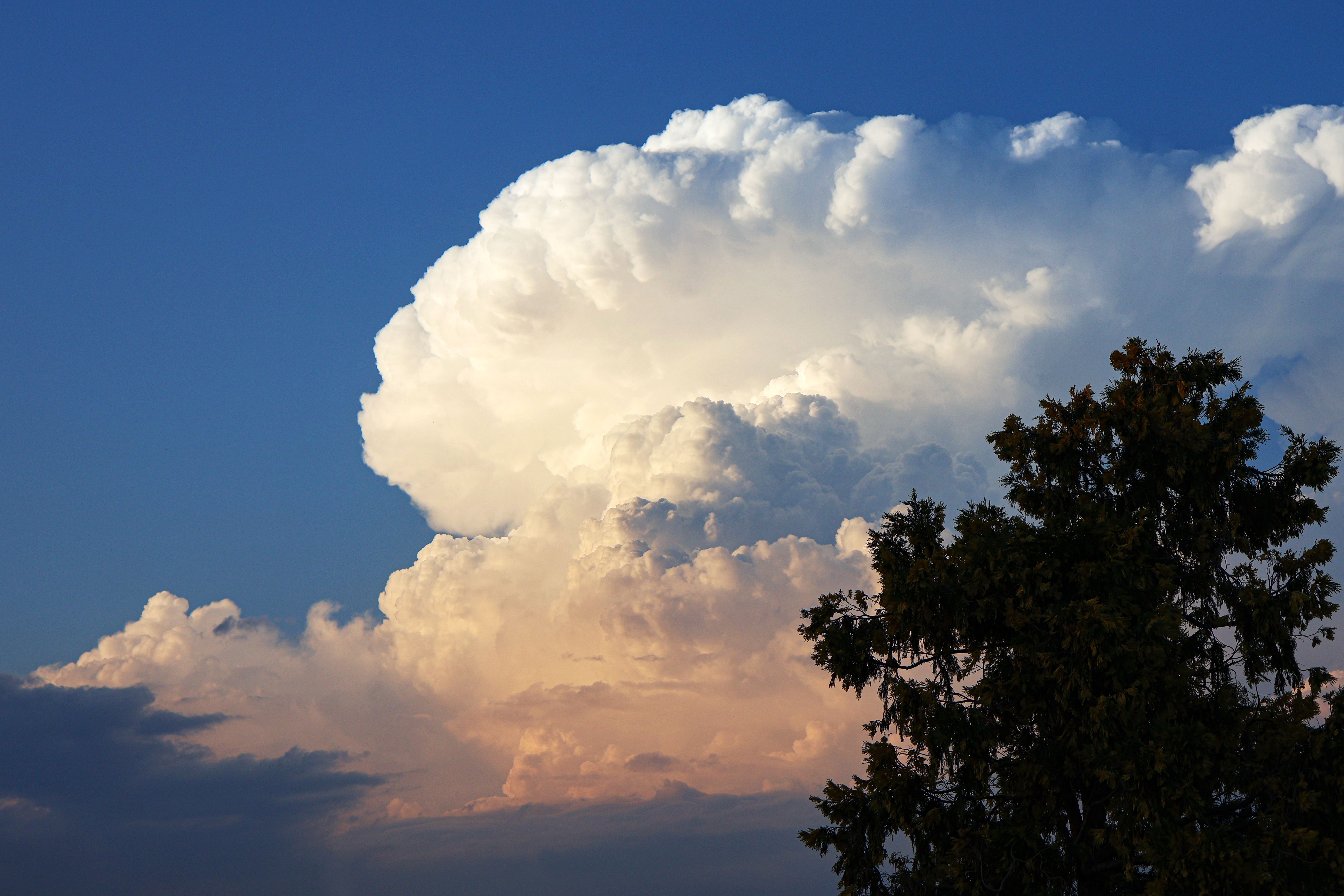 Majestic Cumulus Clouds Over Milano Skyline · Free Stock Photo