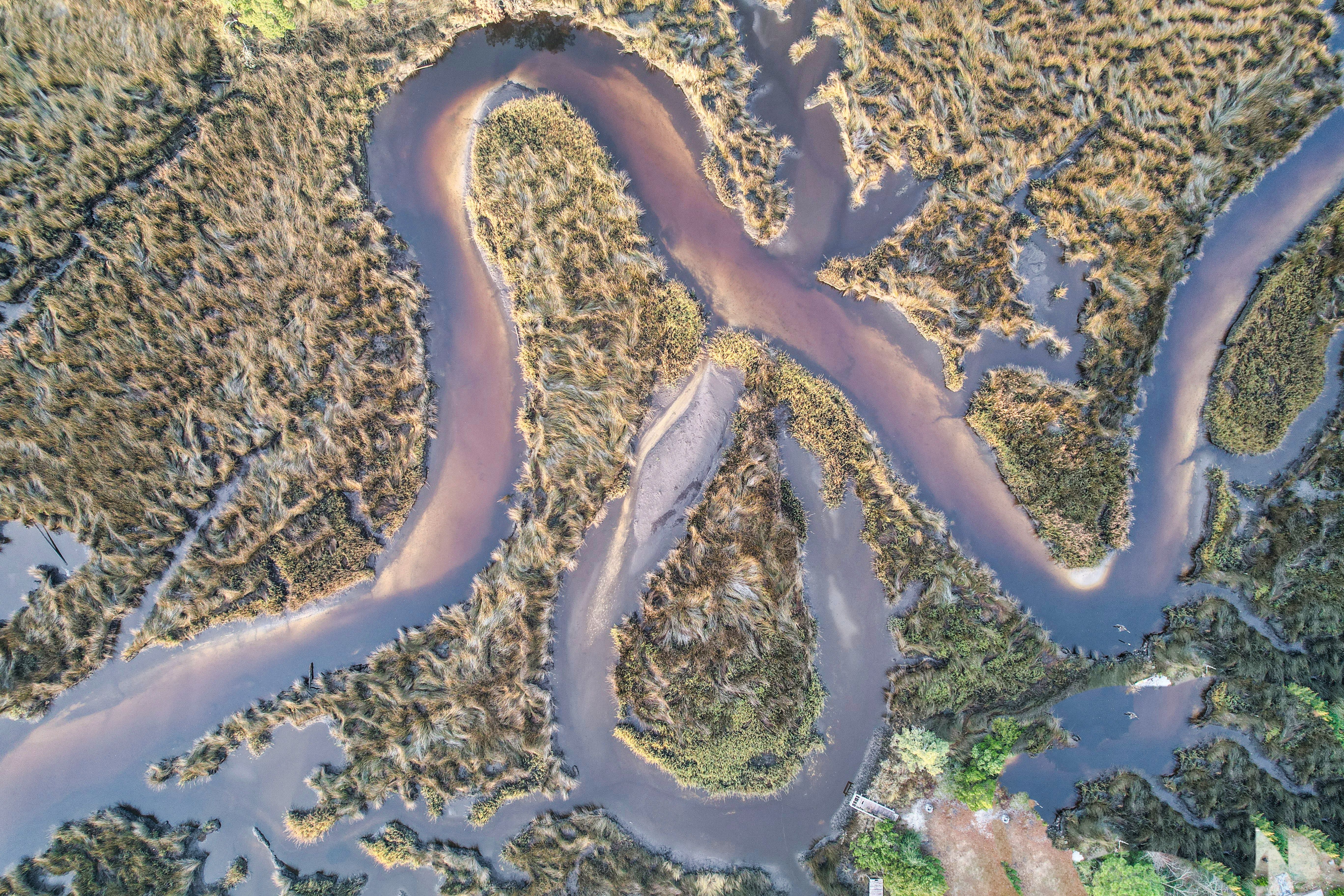 Aerial View of Meandering River in Wetlands · Free Stock Photo