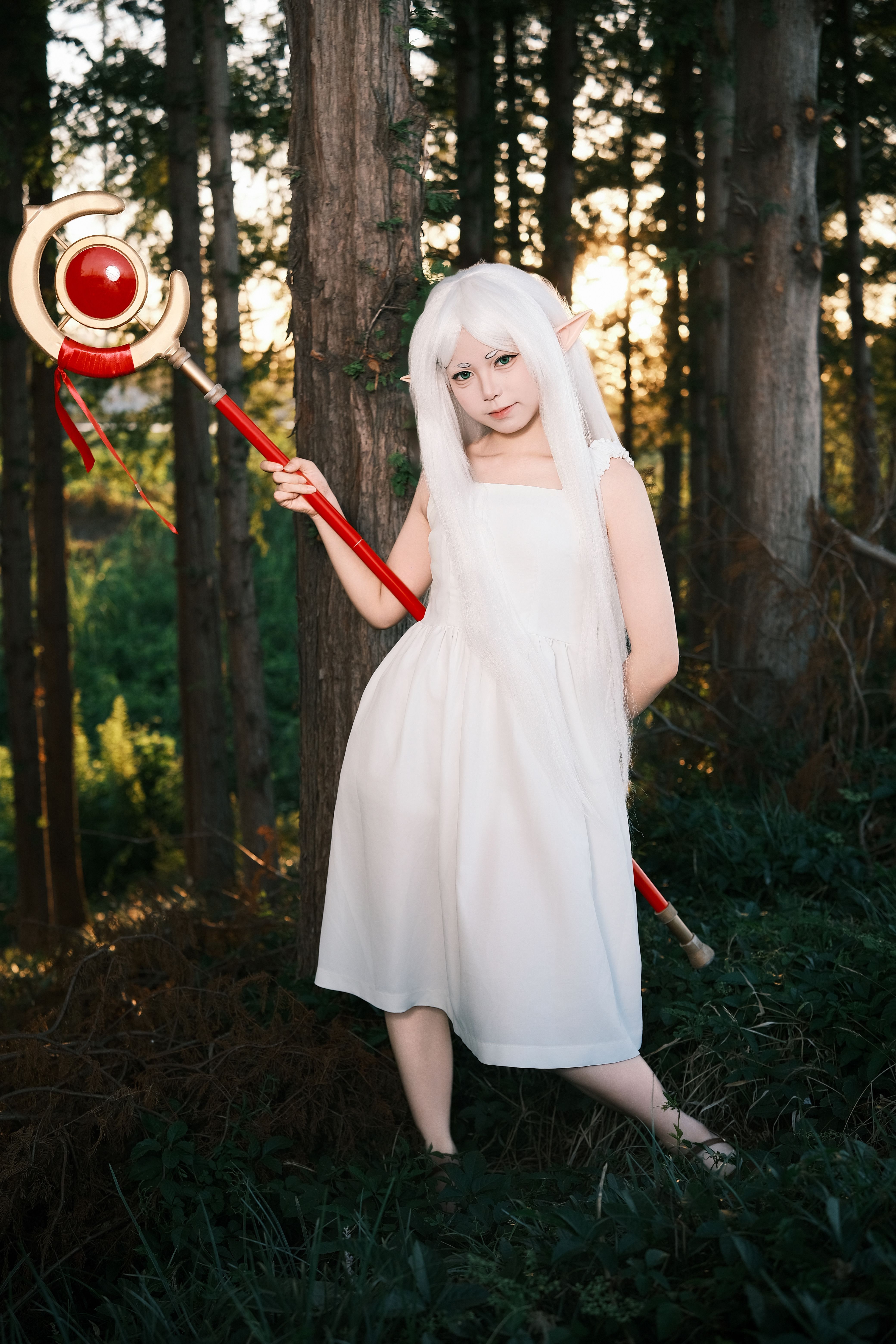 Fantasy Character in Enchanted Forest Setting · Free Stock Photo