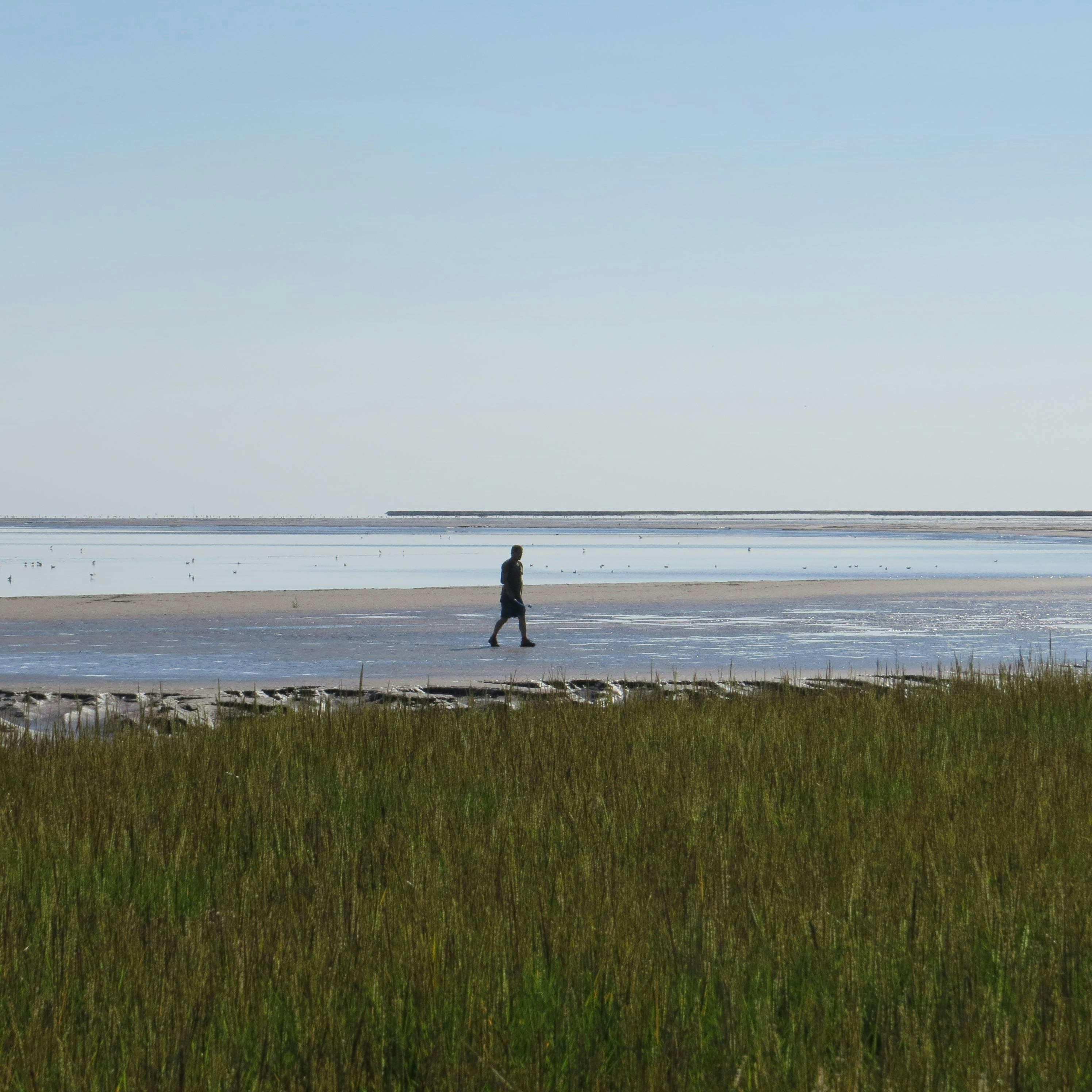 Plain Beach Photos, Download The BEST Free Plain Beach Stock Photos ...