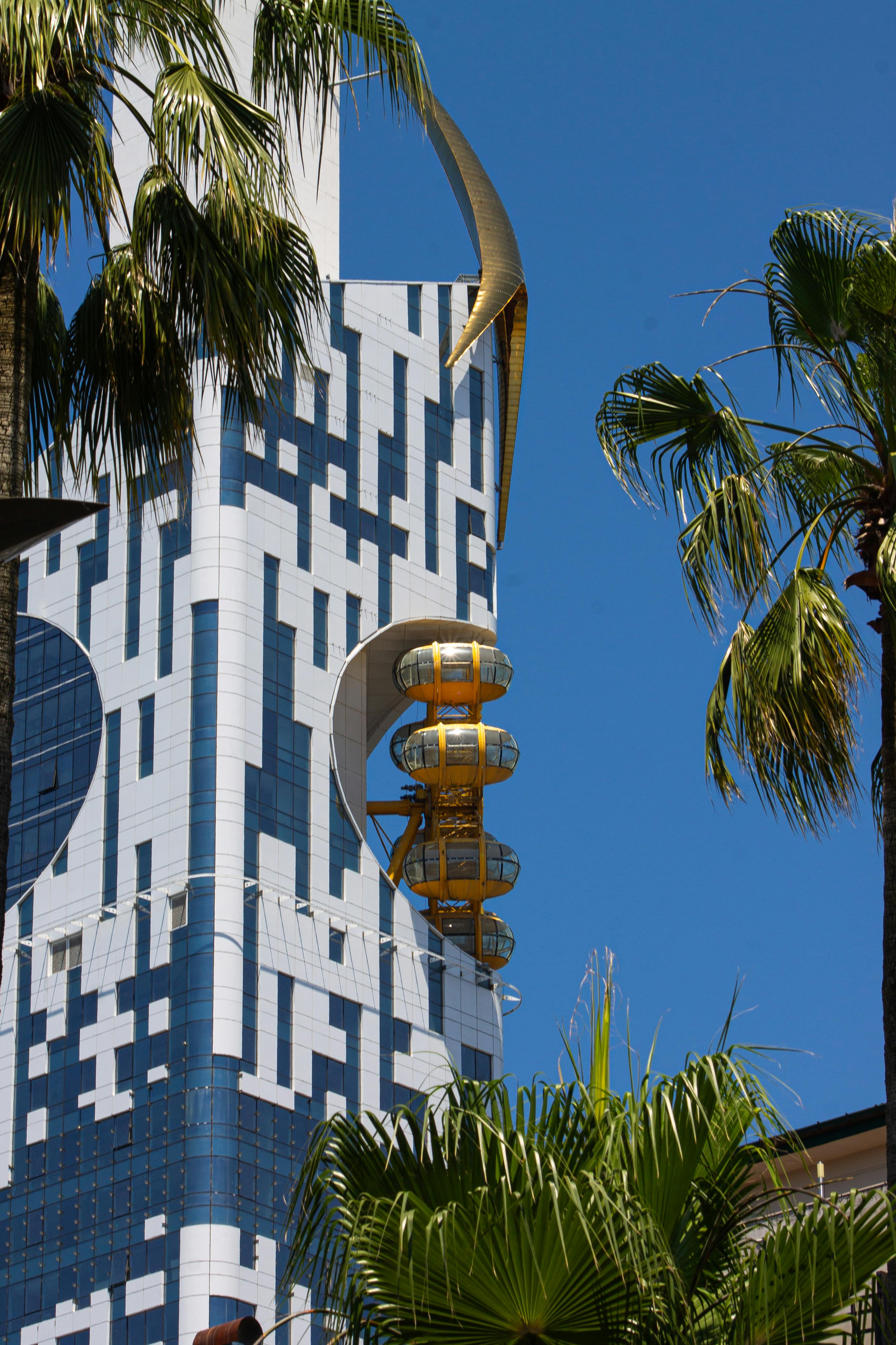 Real+Gyatt+Pics Photos, Download The BEST Free Real+Gyatt+Pics Stock ...