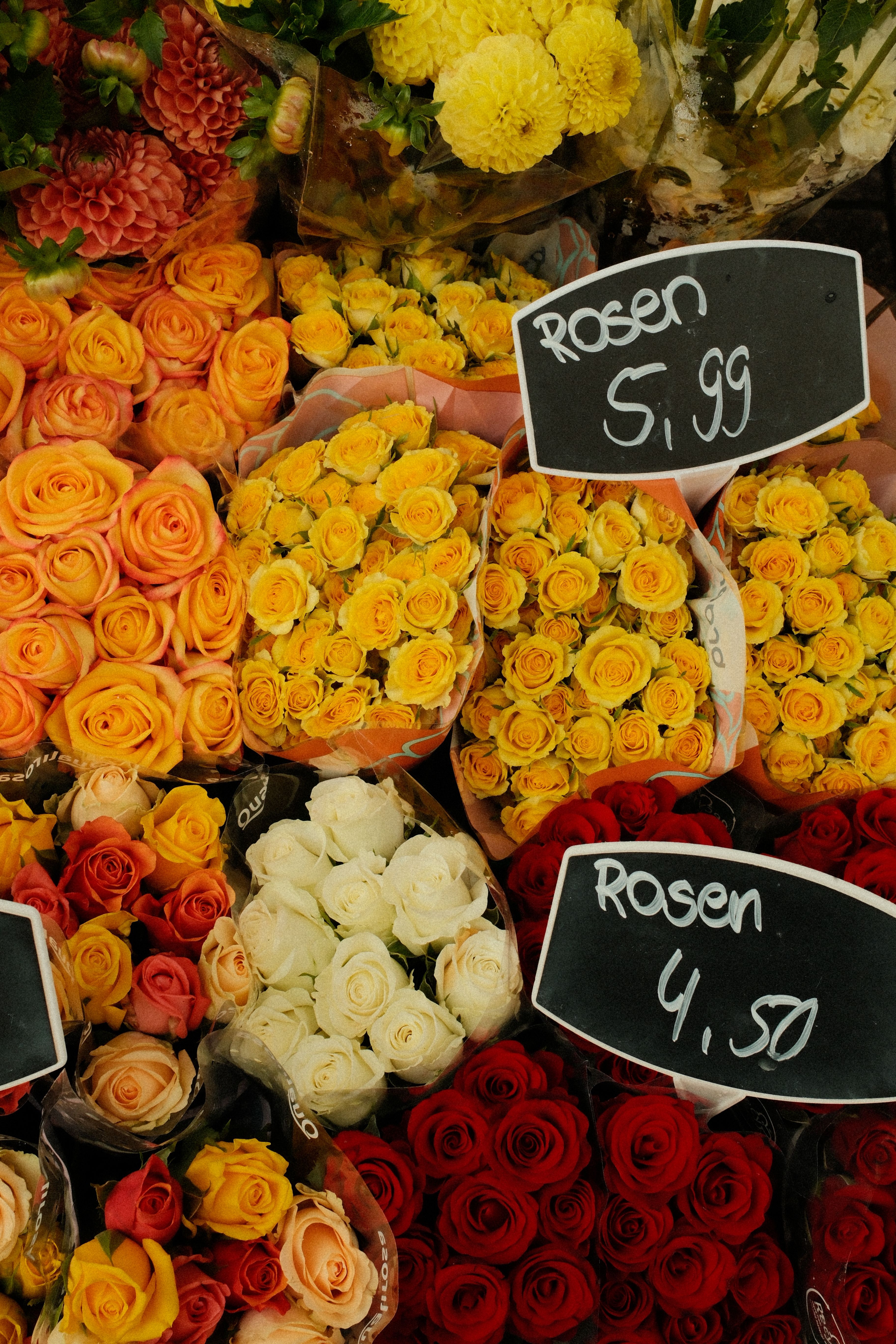 Vibrant Floral Display at Heidelberg Flower Market · Free Stock Photo