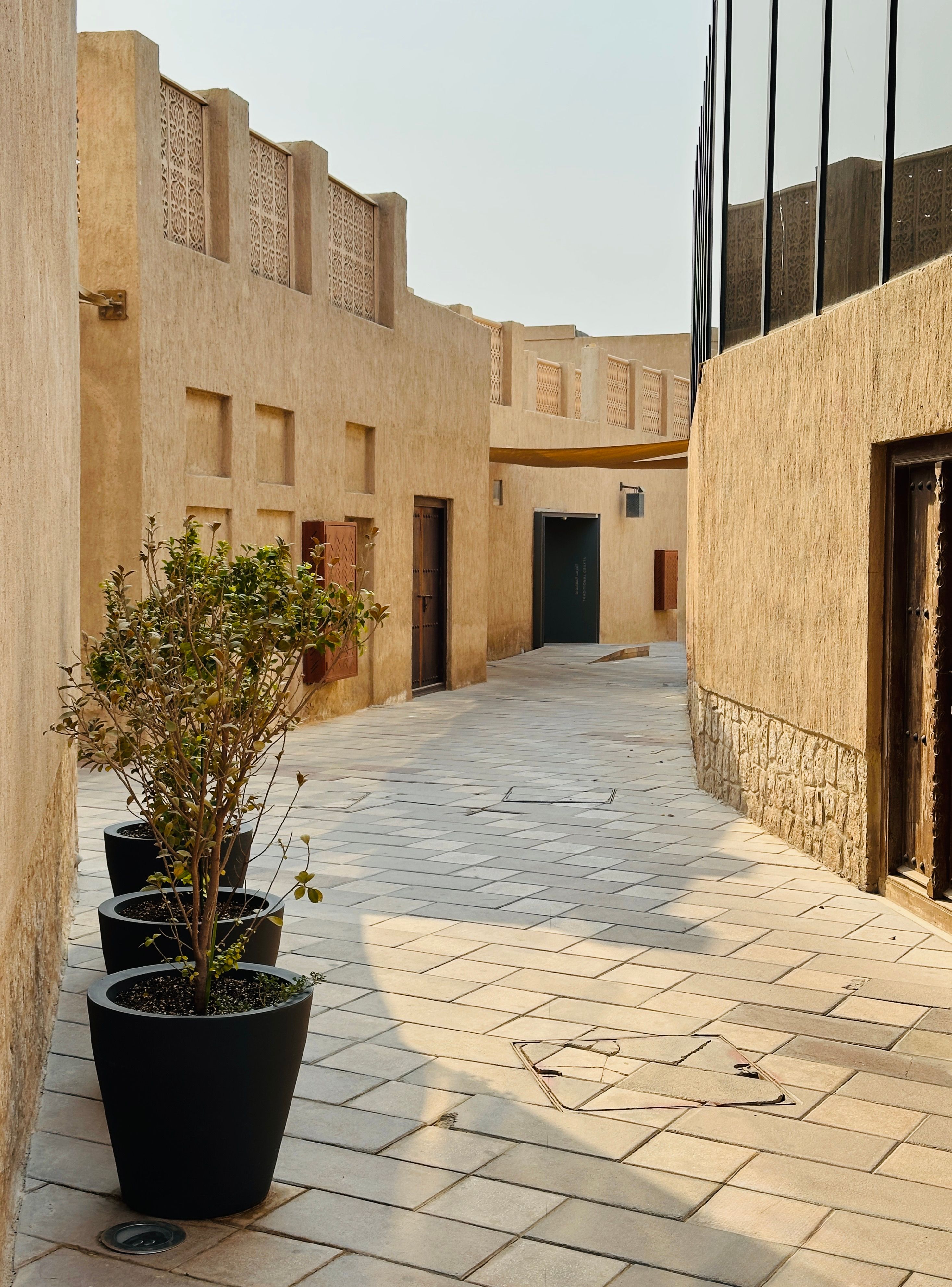 Charming Desert Alley with Potted Plants · Free Stock Photo