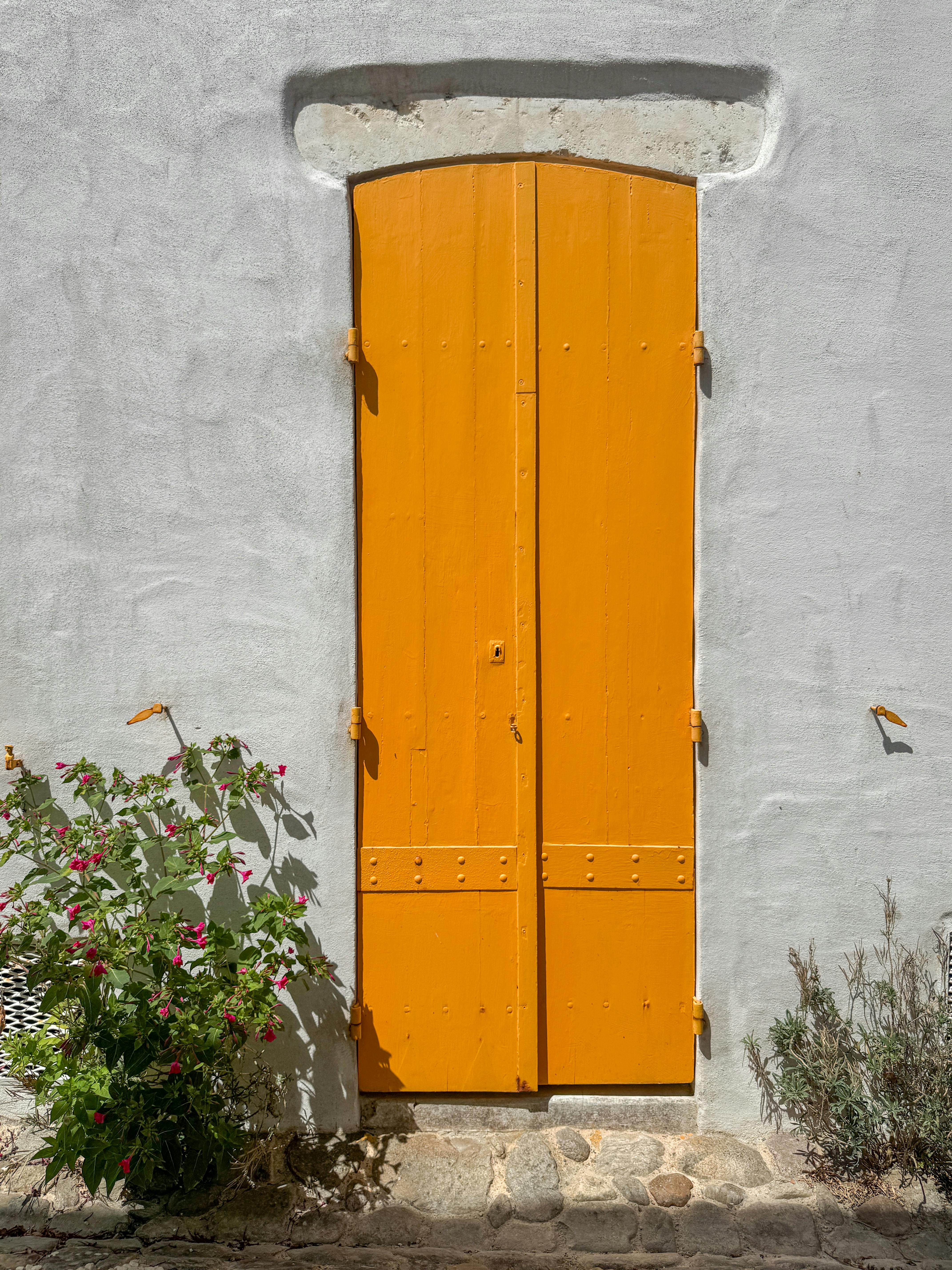 Maceta Con Plantas En Ventana Con Contraventanas · Foto de stock gratuita