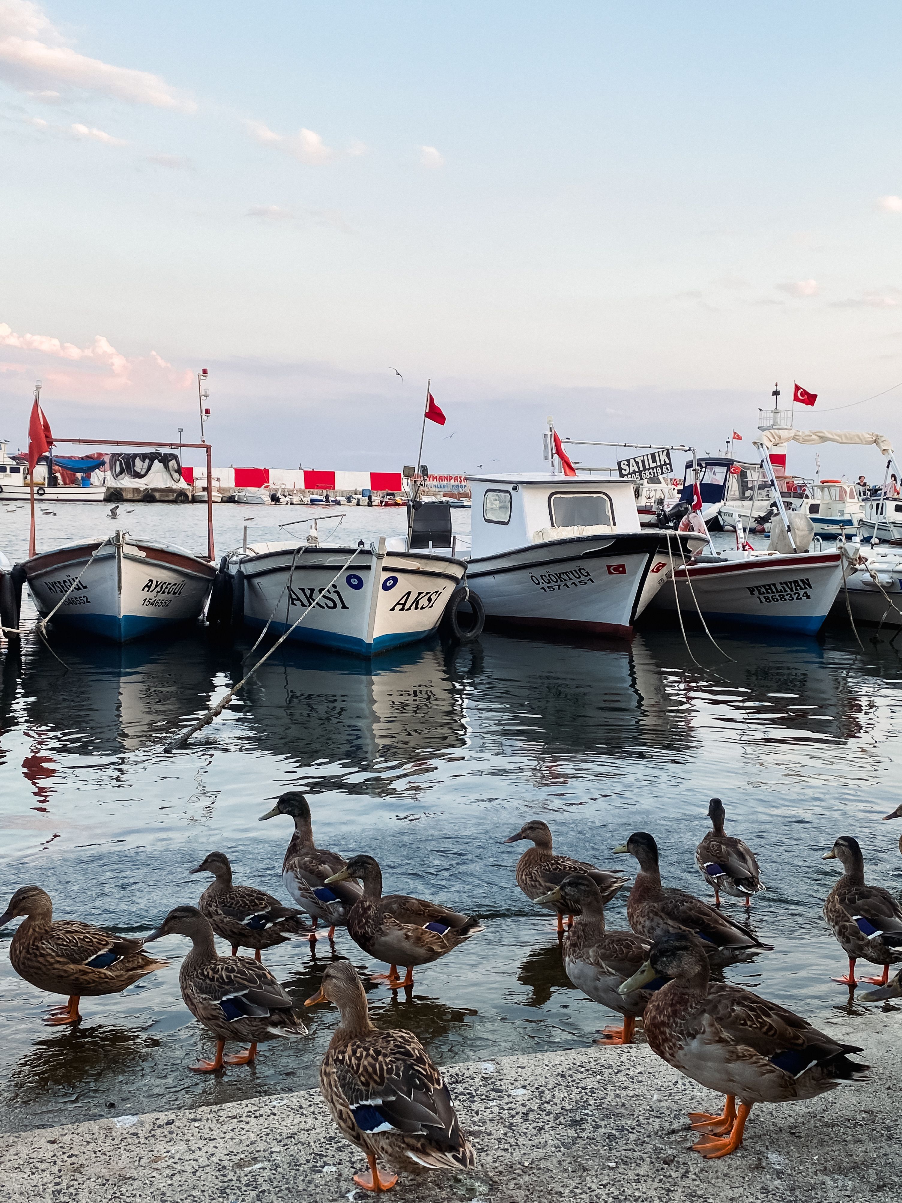 Fleet En Photos, Download The BEST Free Fleet En Stock Photos & HD Images