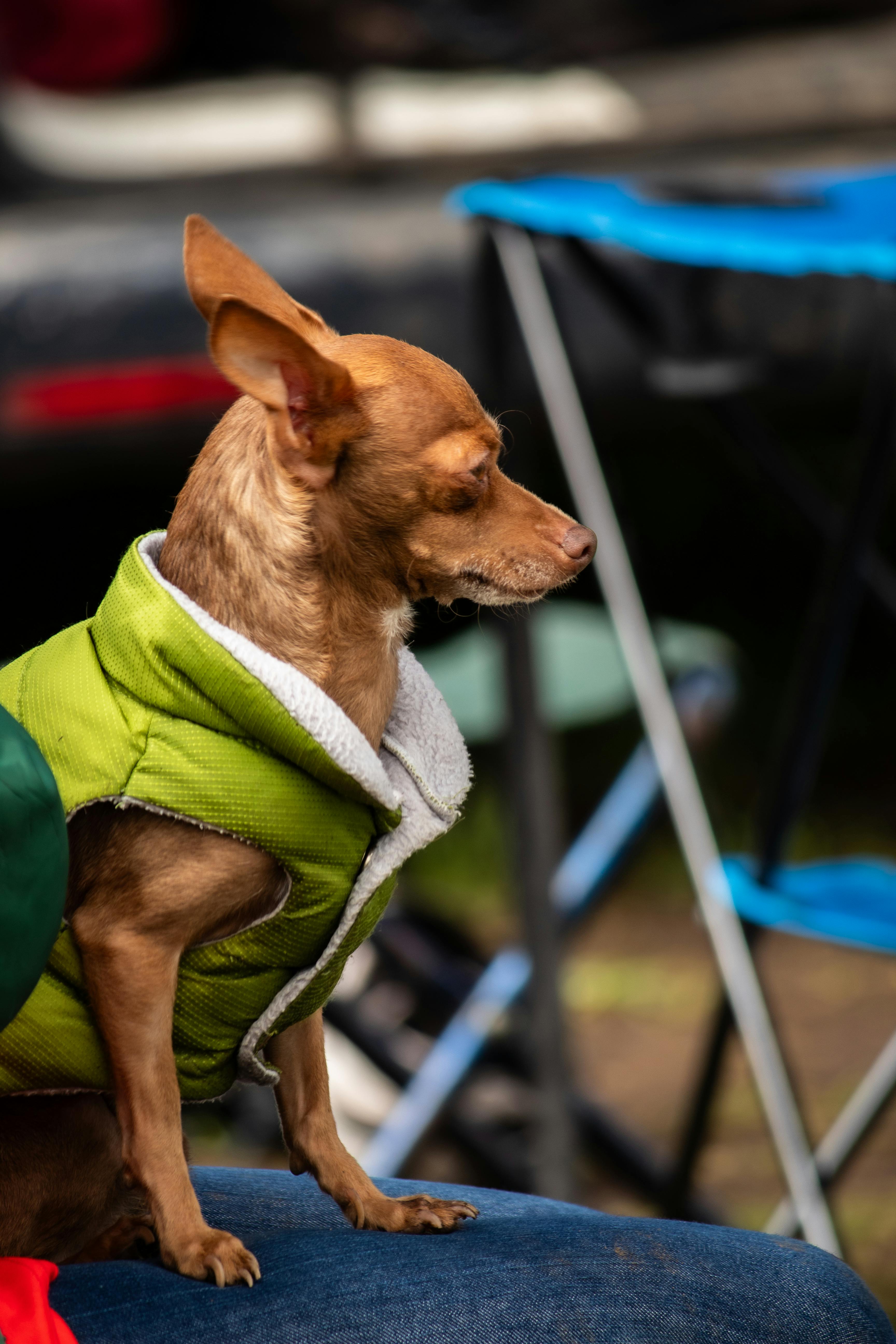 5.000+ melhores imagens de Owner 바탕 화면 · Download 100% grátis · Fotos ...