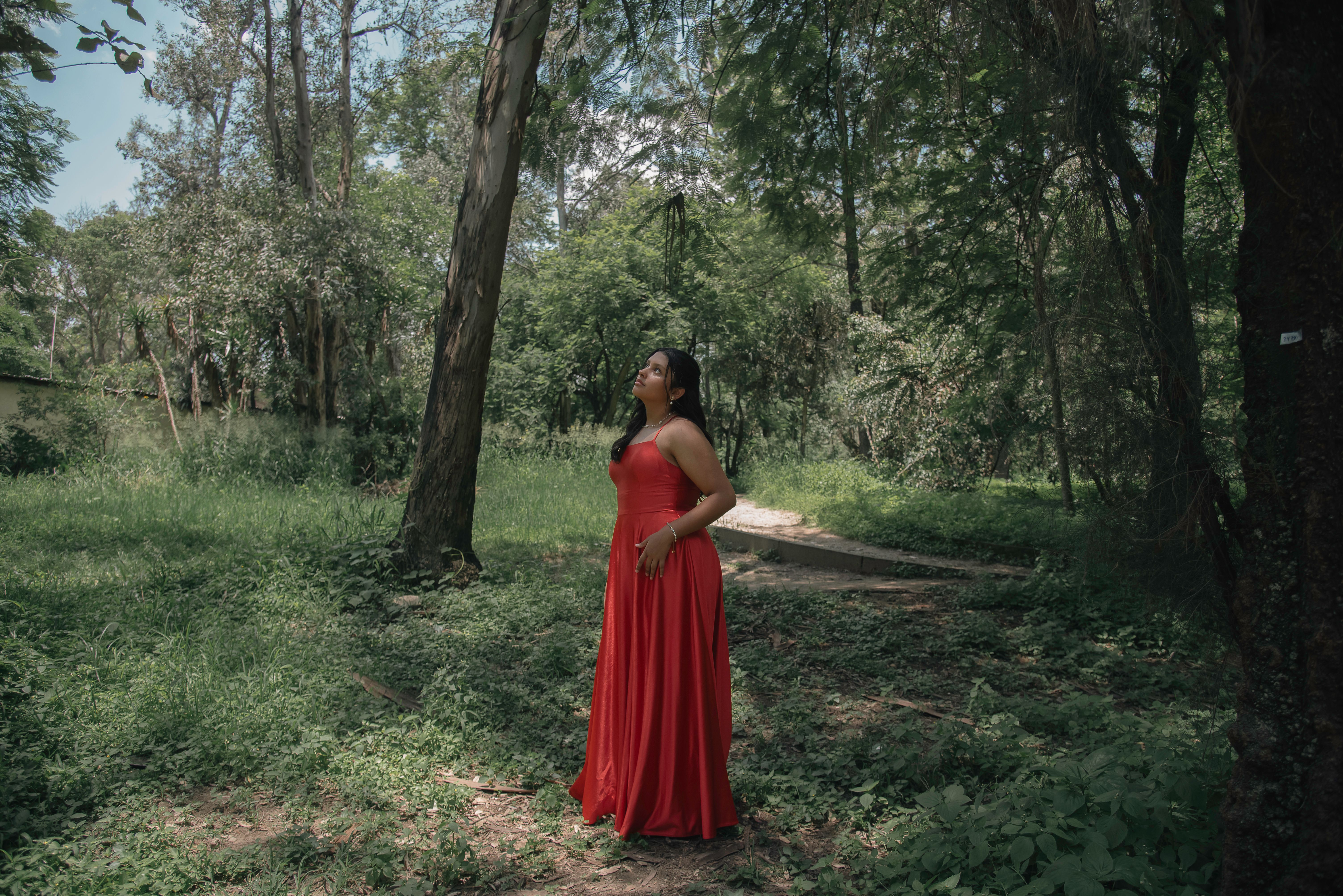 Woman in Red Dress Posing in Summer Forest · Free Stock Photo