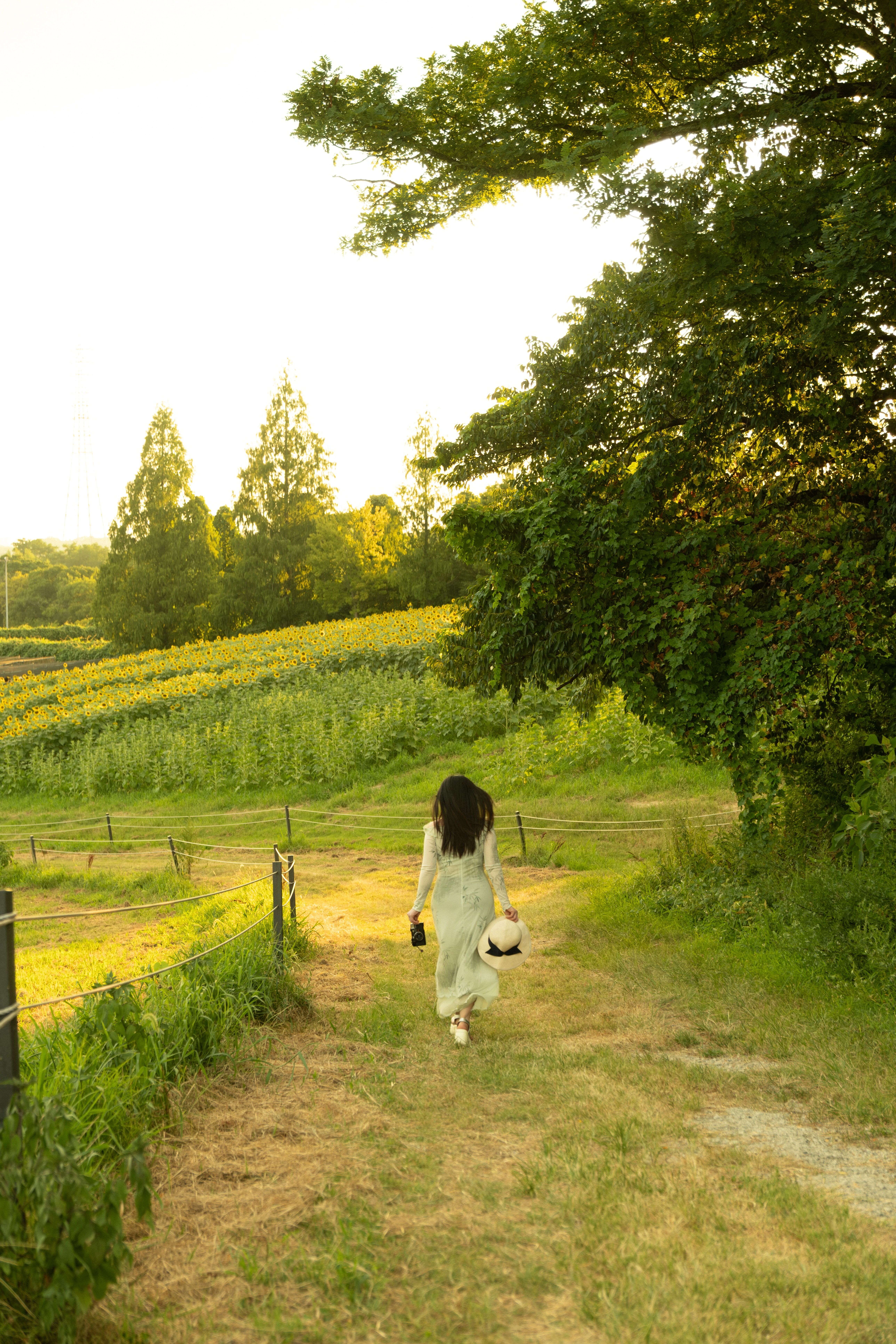 Woman Walking Through Idyllic Summer Countryside · Free Stock Photo