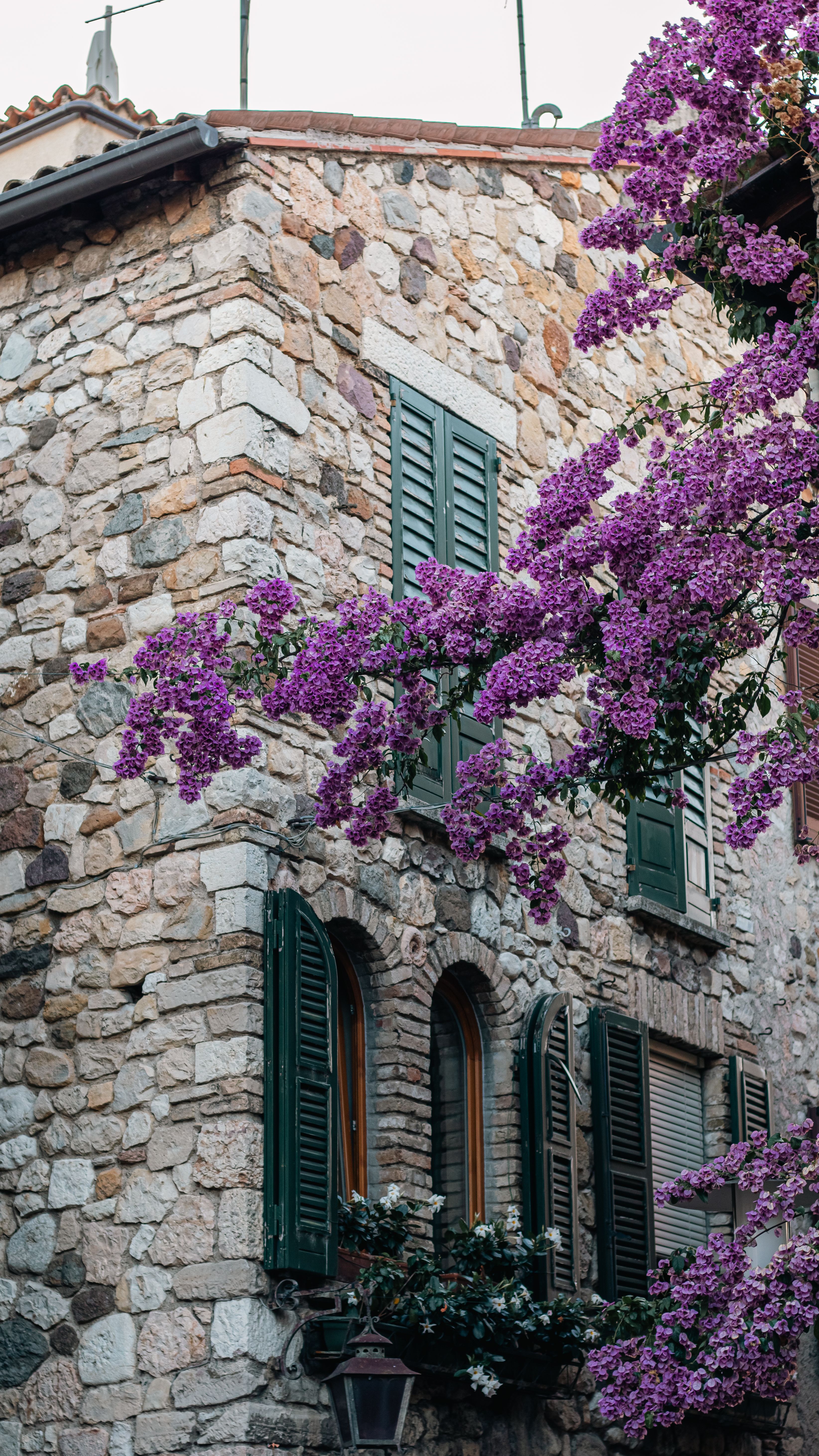 Charming Stone Building with Blooming Bougainvillea · Free Stock Photo