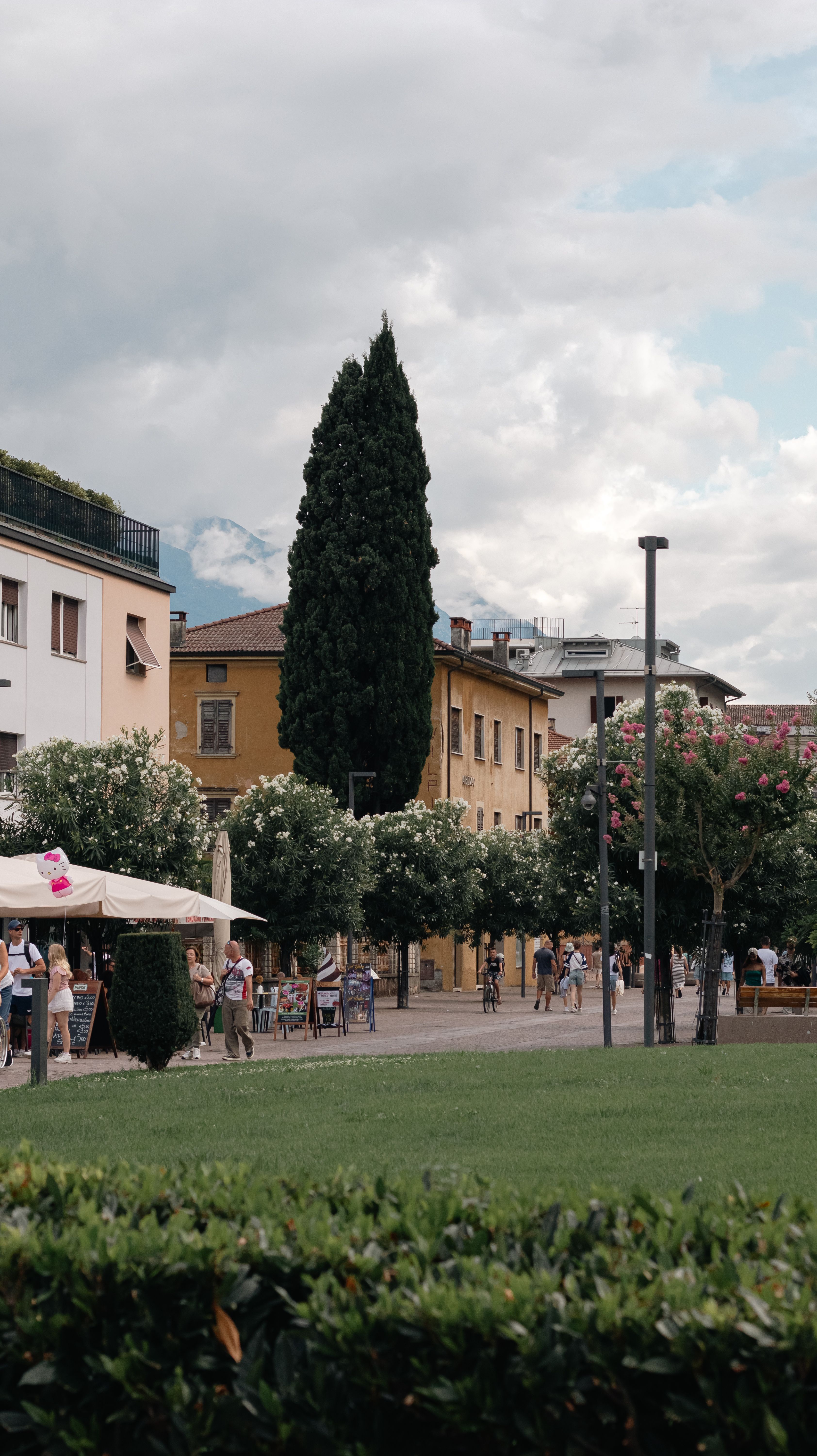 Charming Italian Piazza with Cypress Trees · Free Stock Photo