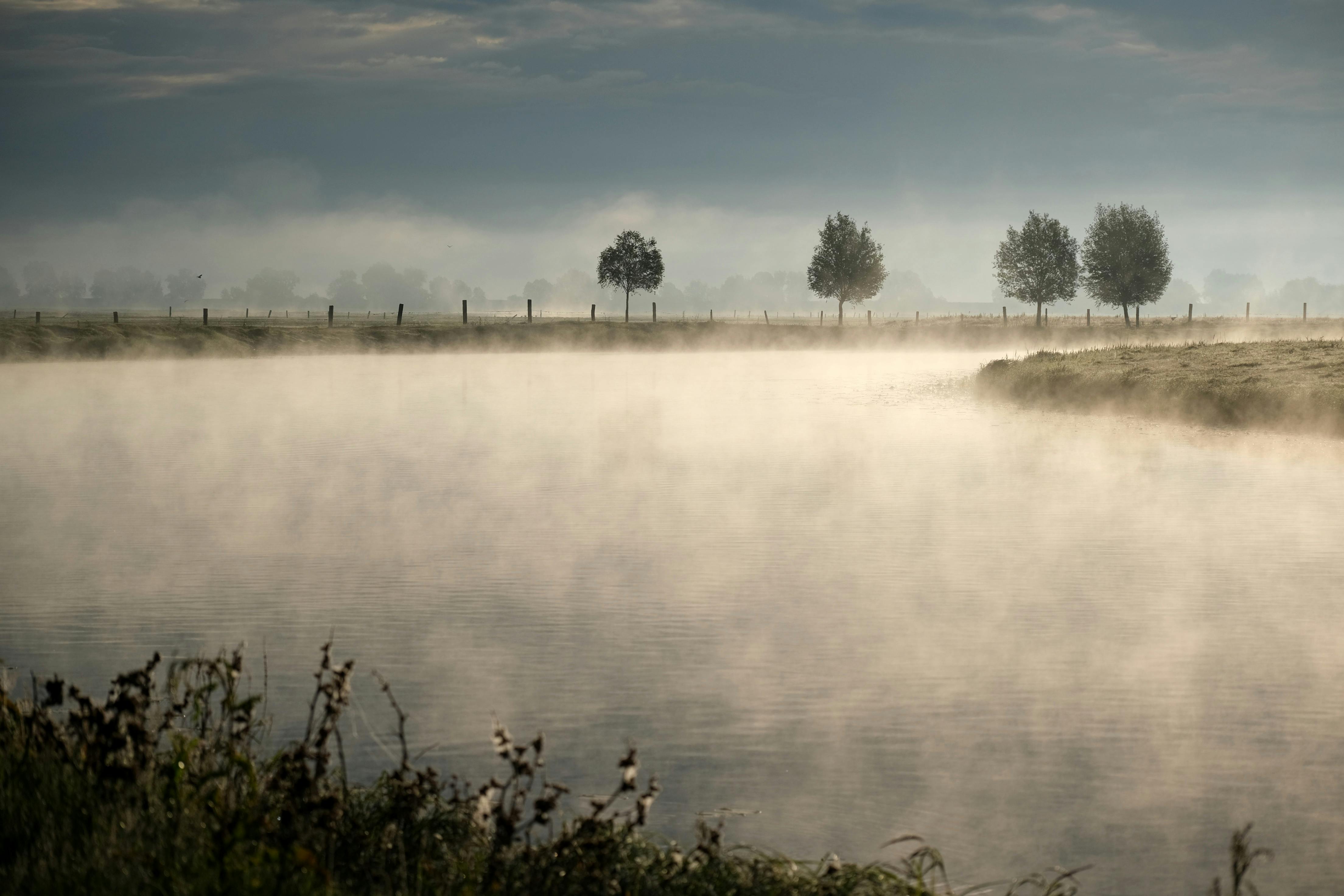 Background Without Blur Photos, Download The BEST Free Background ...