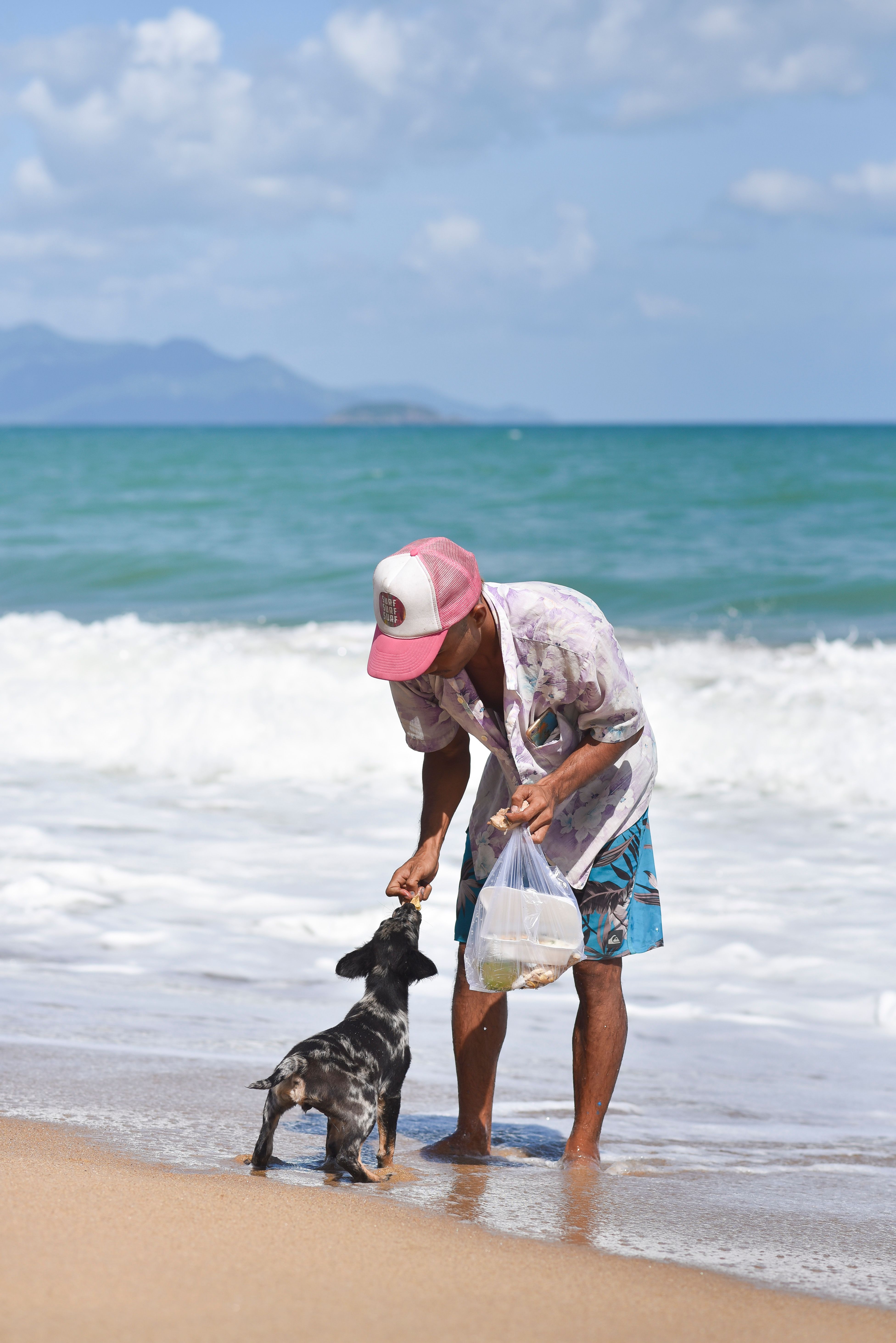 Black People Interact With Animal & Nature Photos, Download The BEST ...