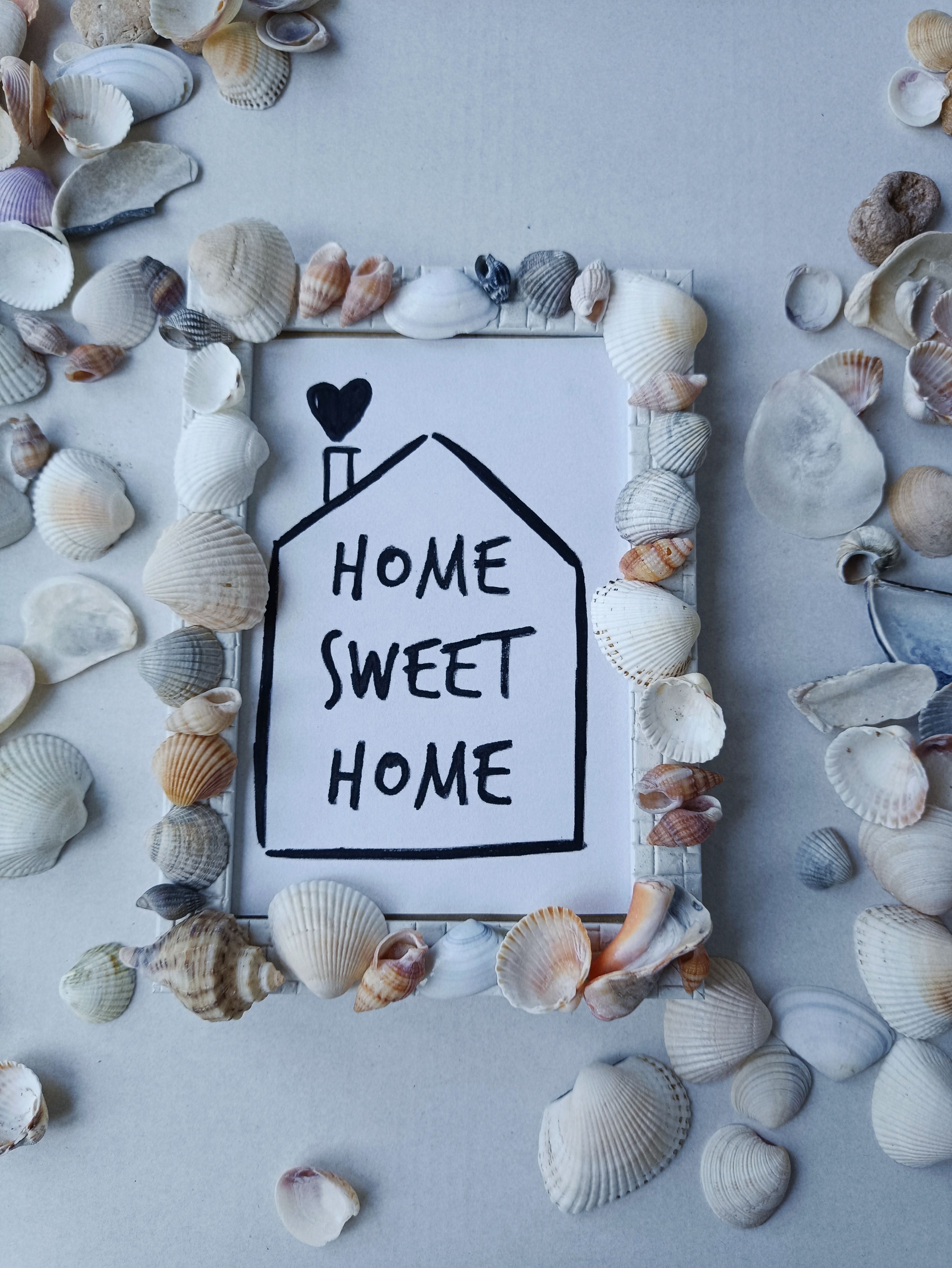 Seashells Blue Background Photos, Download The BEST Free Seashells Blue ...