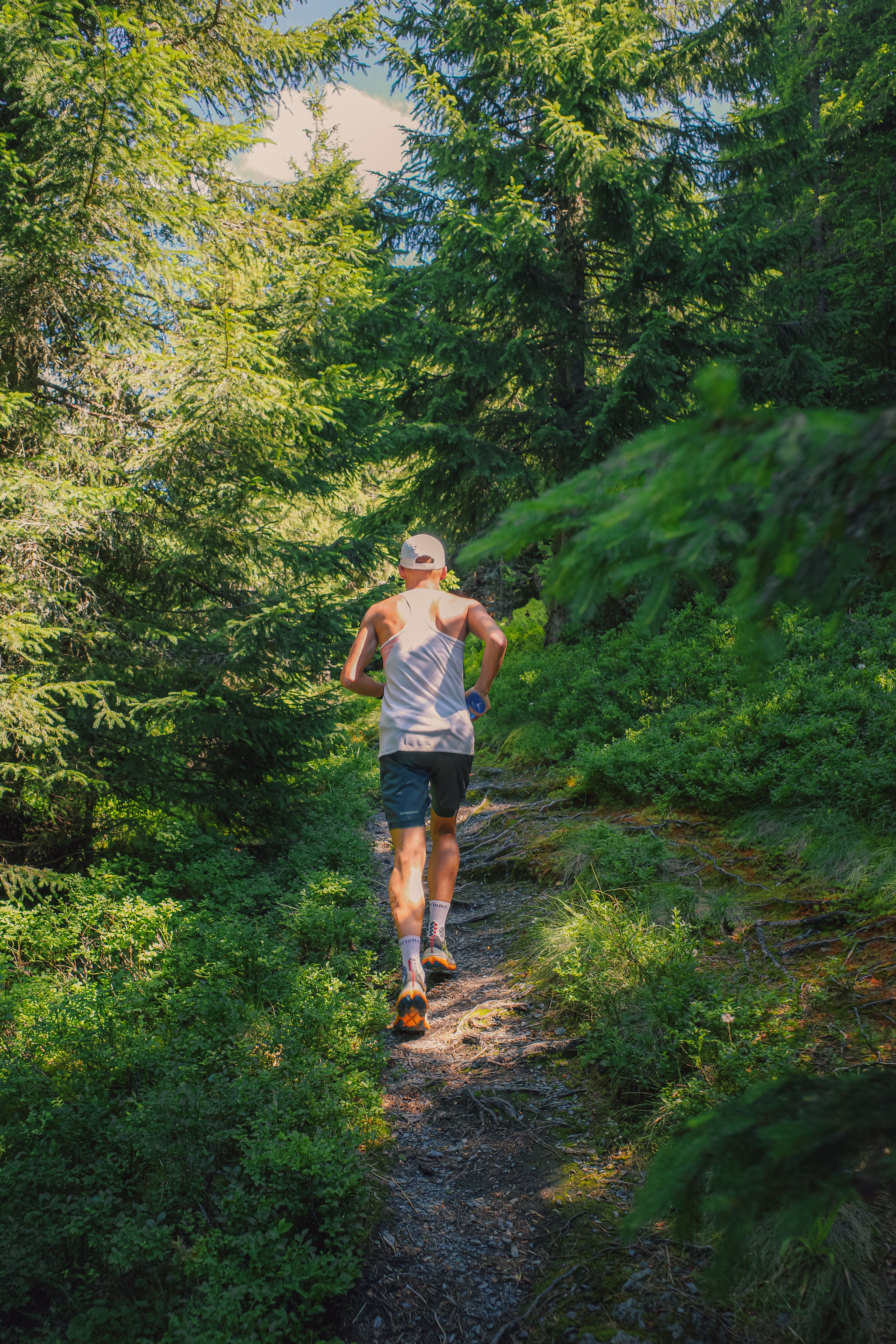 Jogging In Forest Photos, Download The BEST Free Jogging In Forest ...