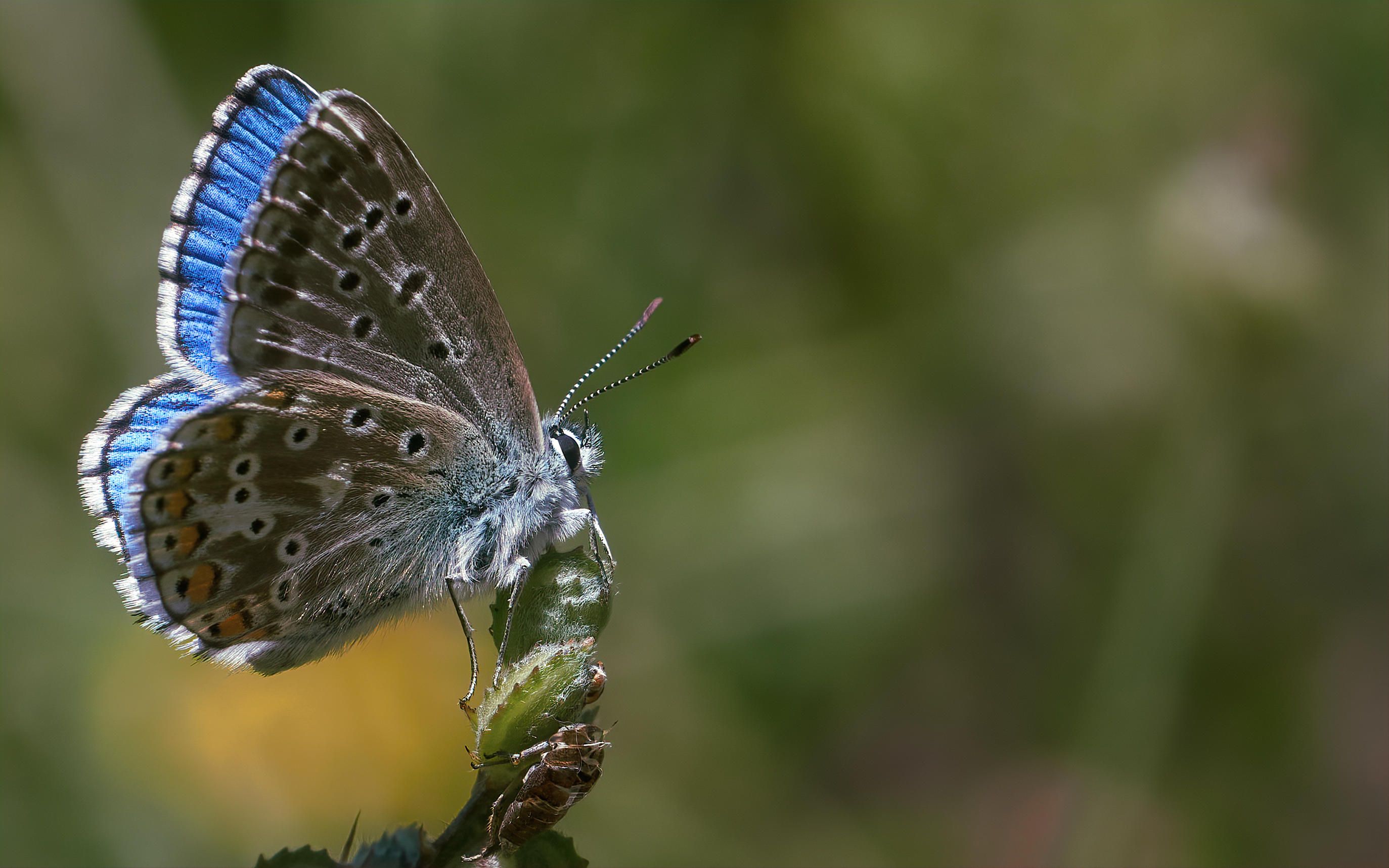 Gentle Photos, Download The BEST Free Gentle Stock Photos & HD Images