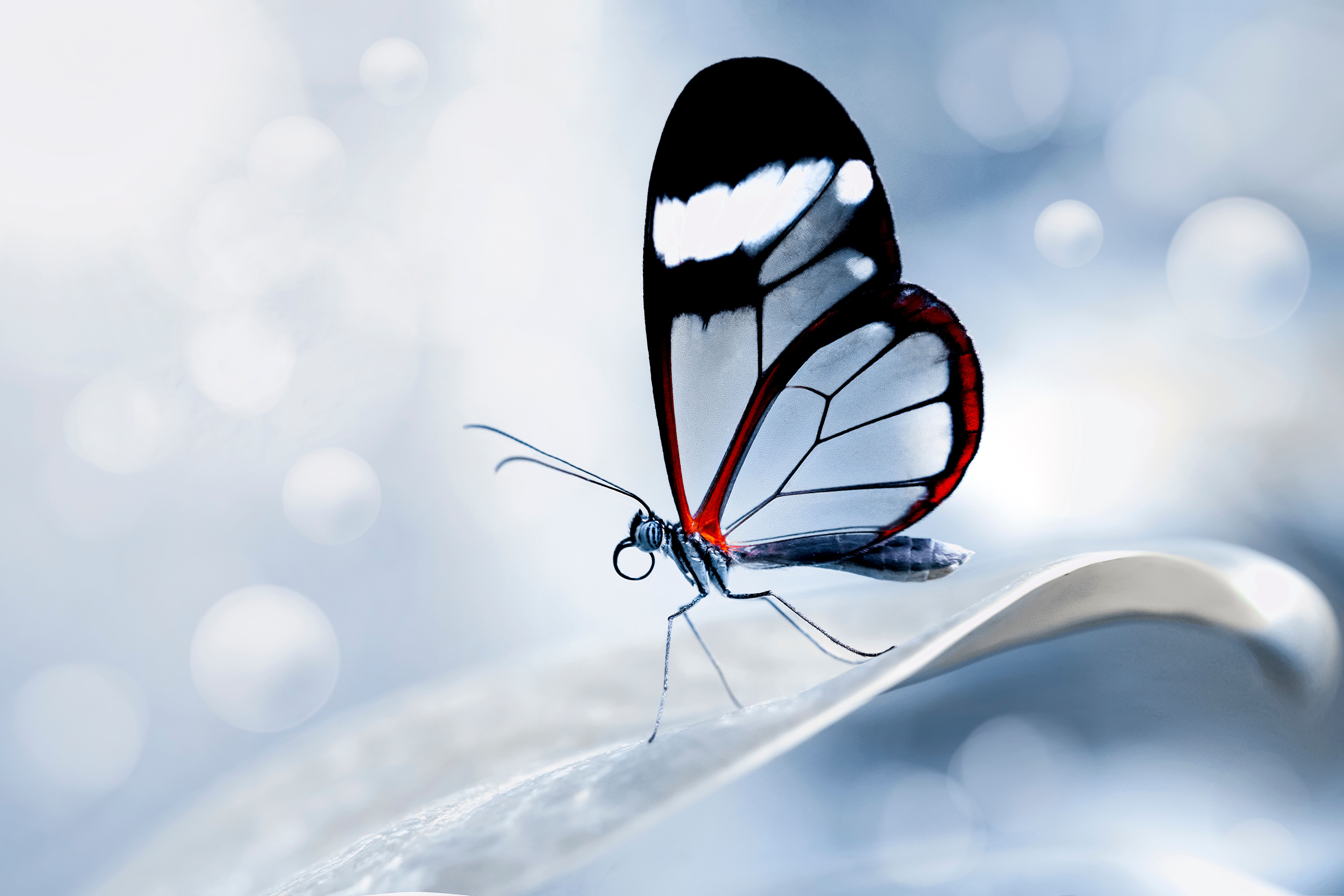 Fragile Photos, Download The BEST Free Fragile Stock Photos & HD Images