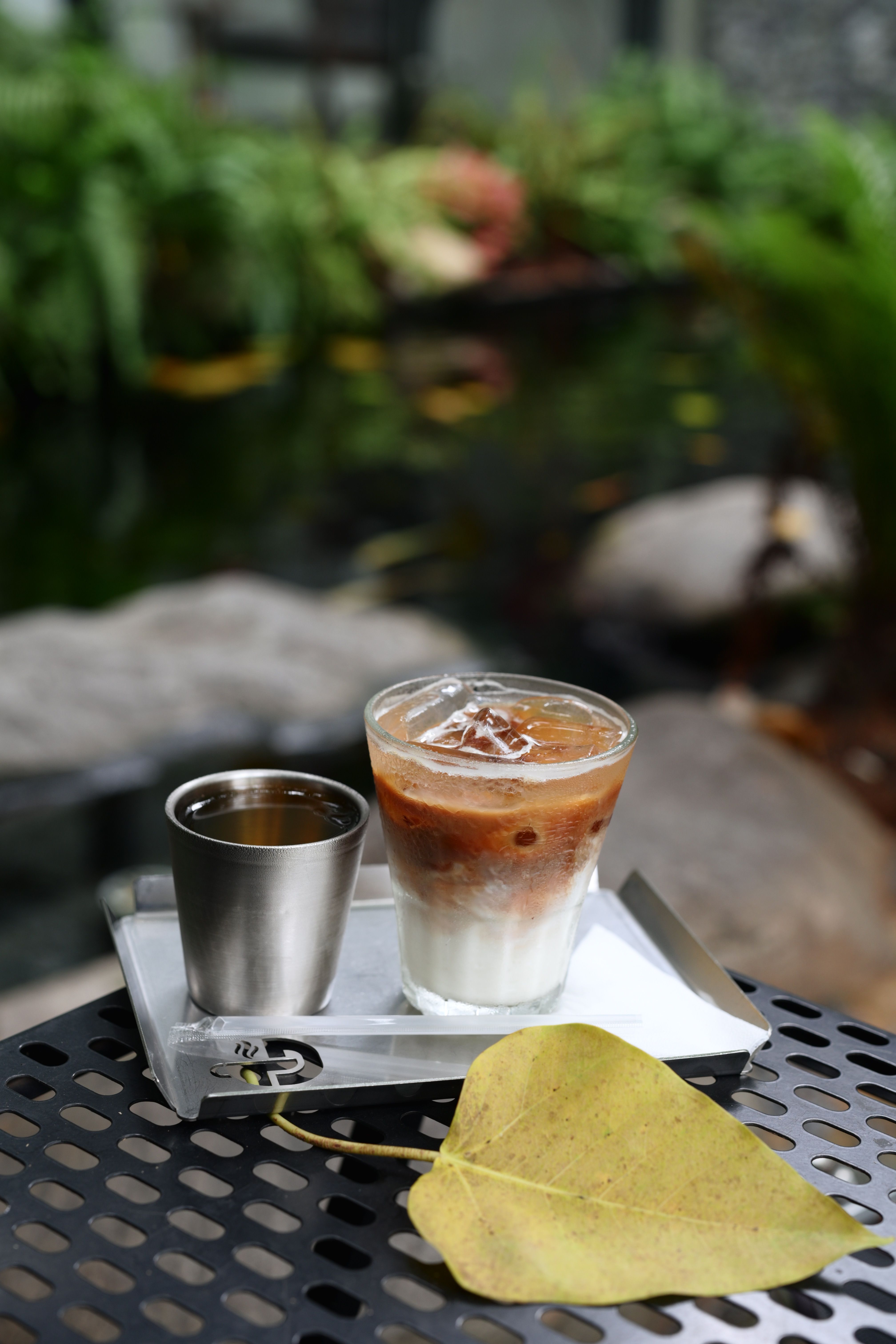 Gif Tray Photos, Download The BEST Free Gif Tray Stock Photos & HD Images