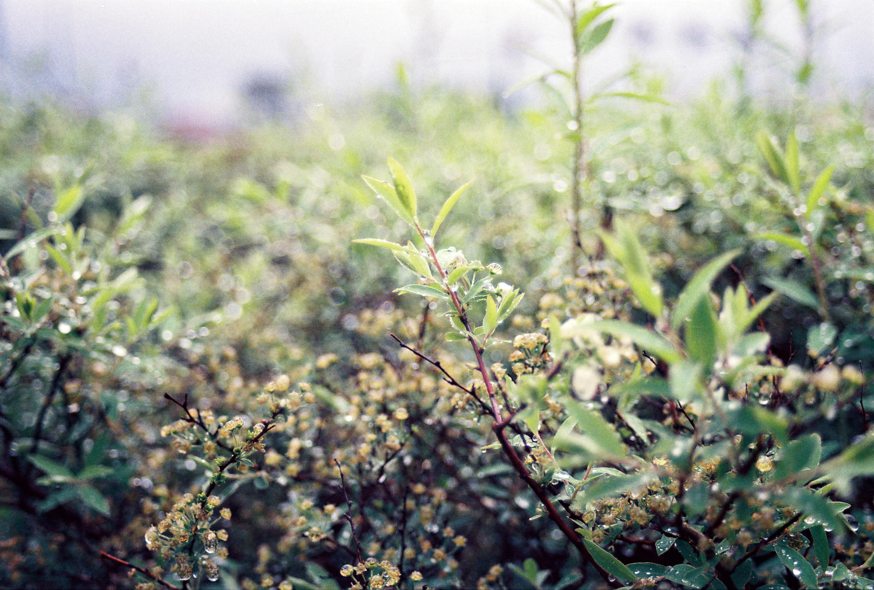 Moisture Mapping Photos, Download The BEST Free Moisture Mapping Stock ...