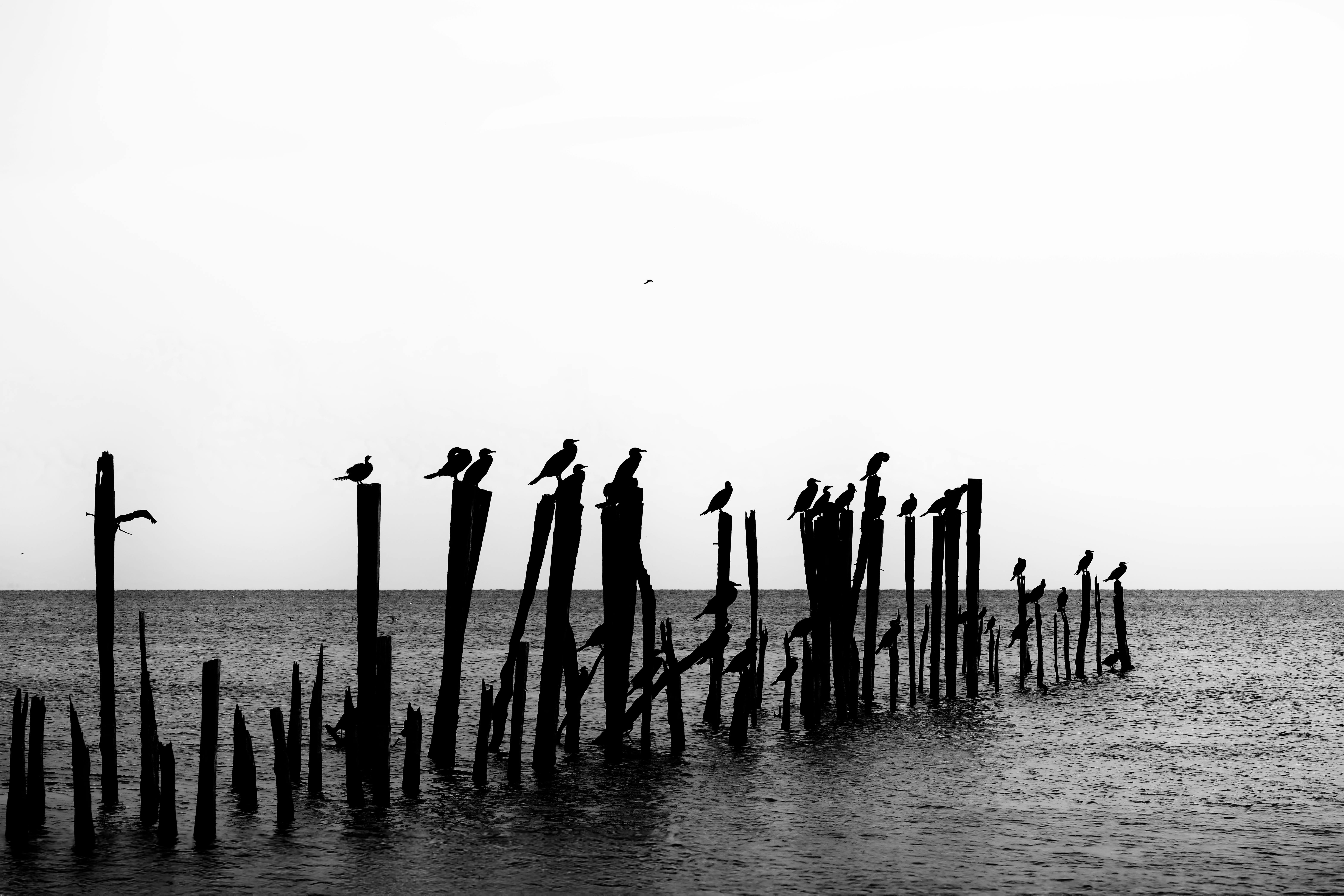 Ocean Beelden Photos, Download The BEST Free Ocean Beelden Stock Photos ...