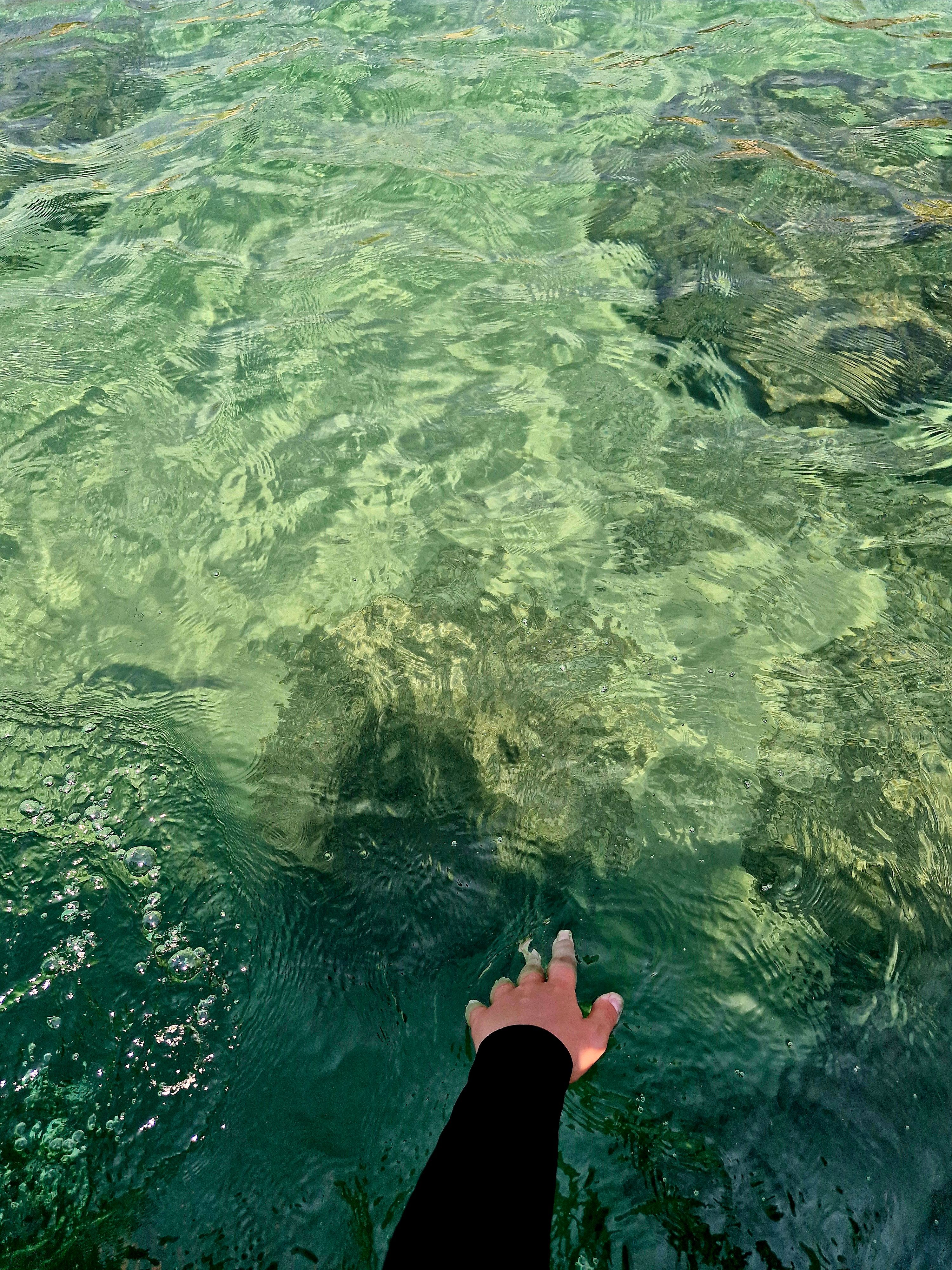 Hand Reaching into Clear Tropical Waters · Free Stock Photo