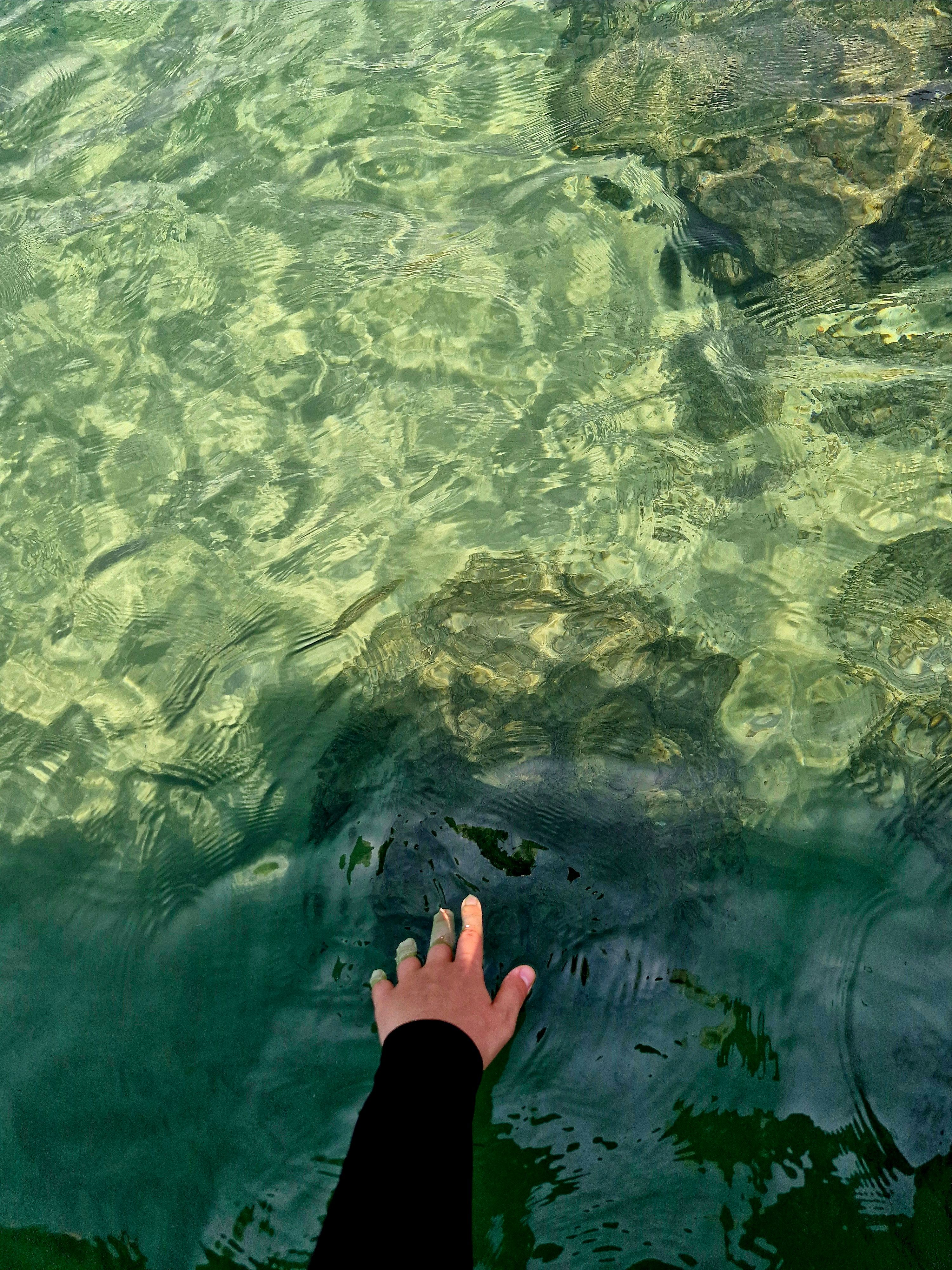 Touching Clear Water Surface with Gentle Shadows · Free Stock Photo