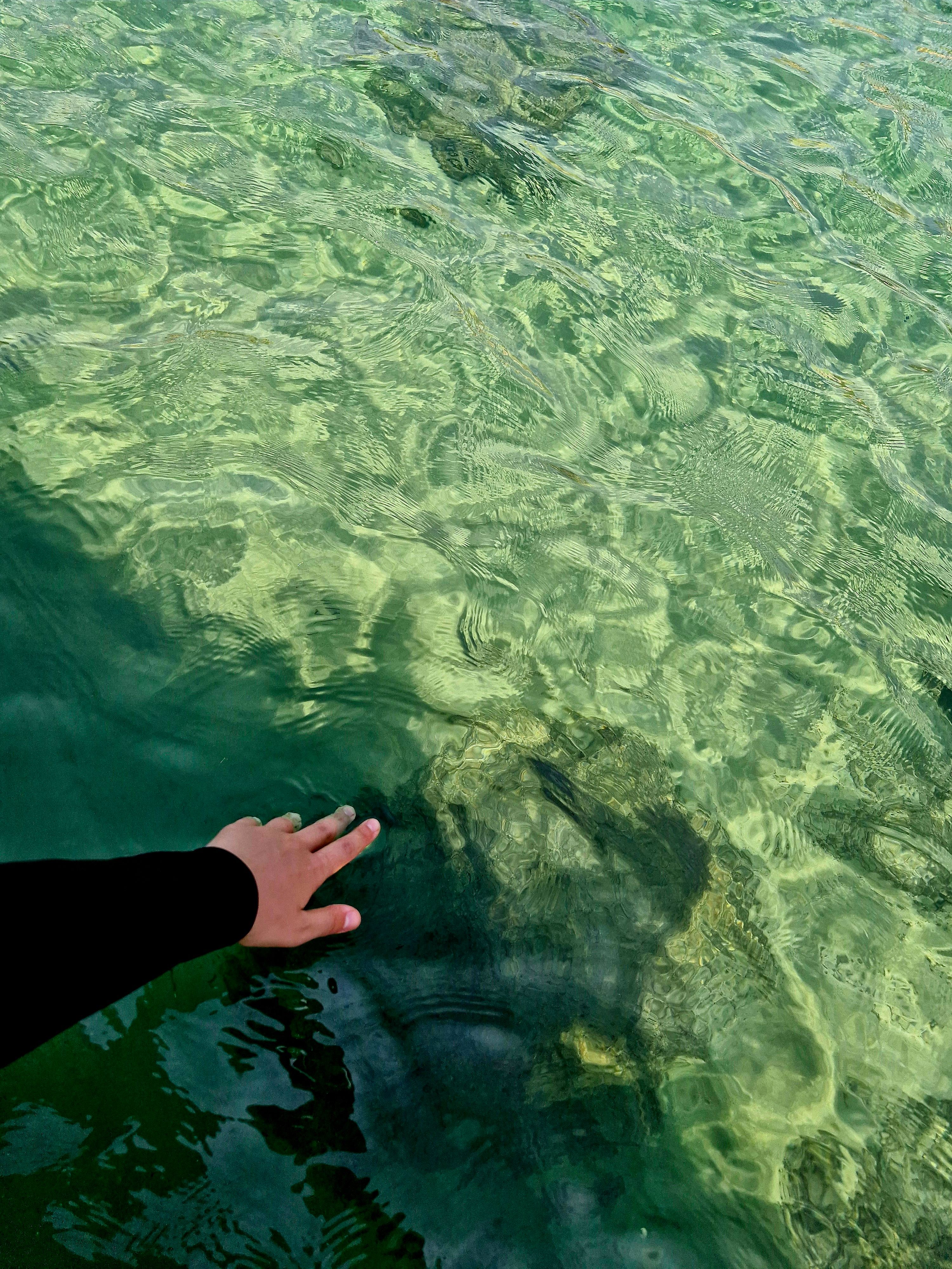 Hand Touching Clear Water in a Natural Setting · Free Stock Photo