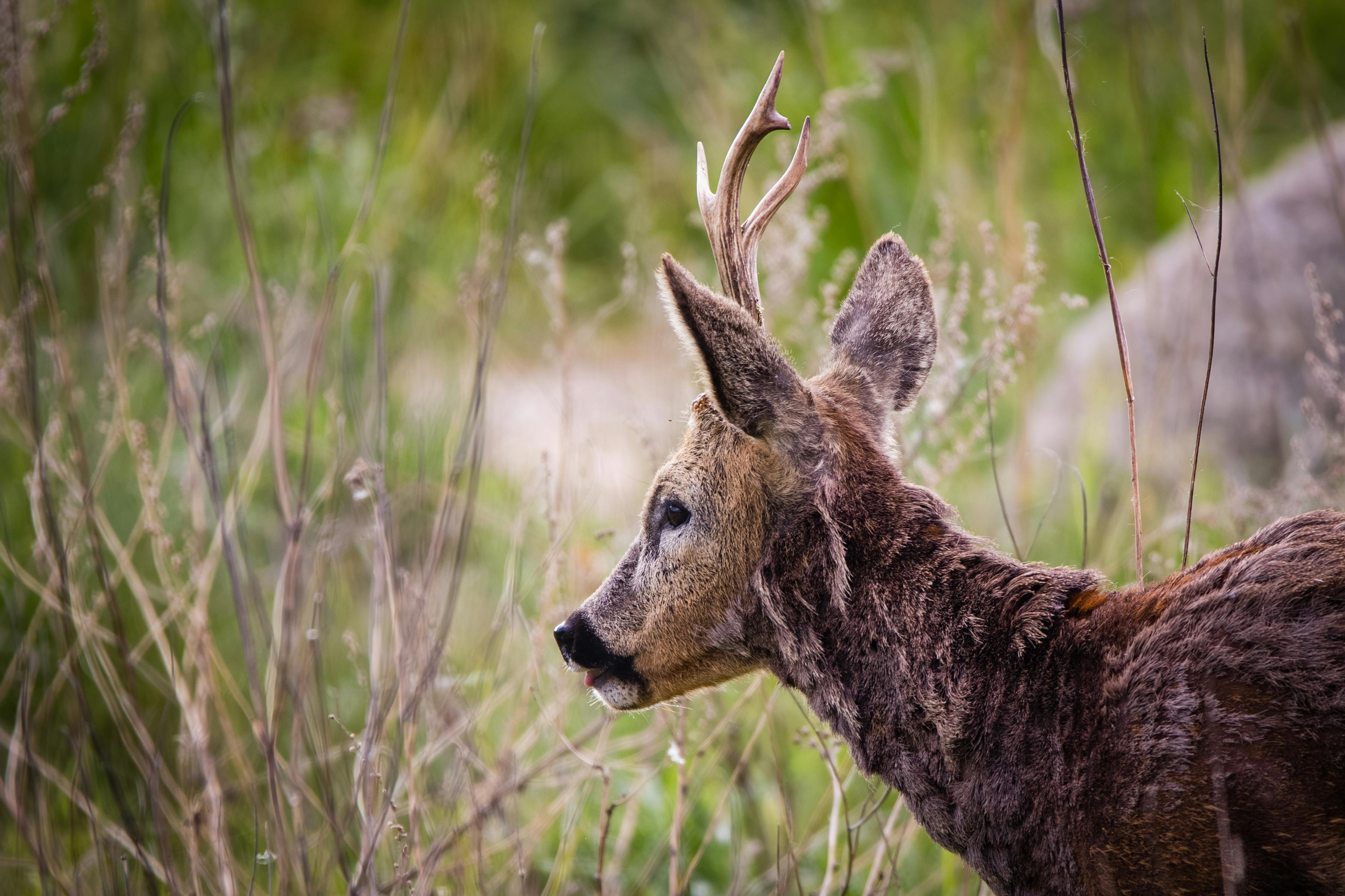 Aliaksei Semirski - Photography