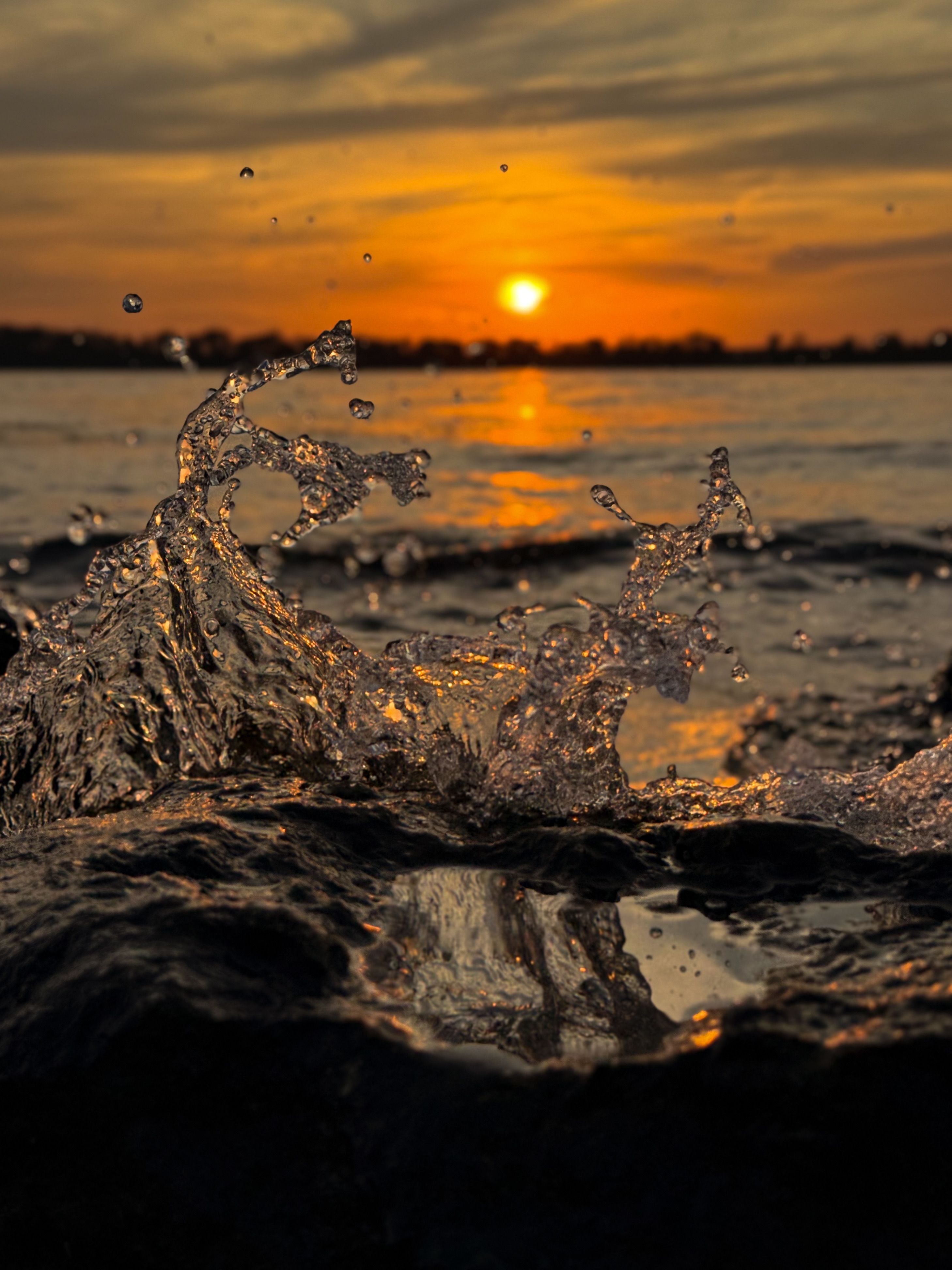 Water Splash · Free Stock Photo