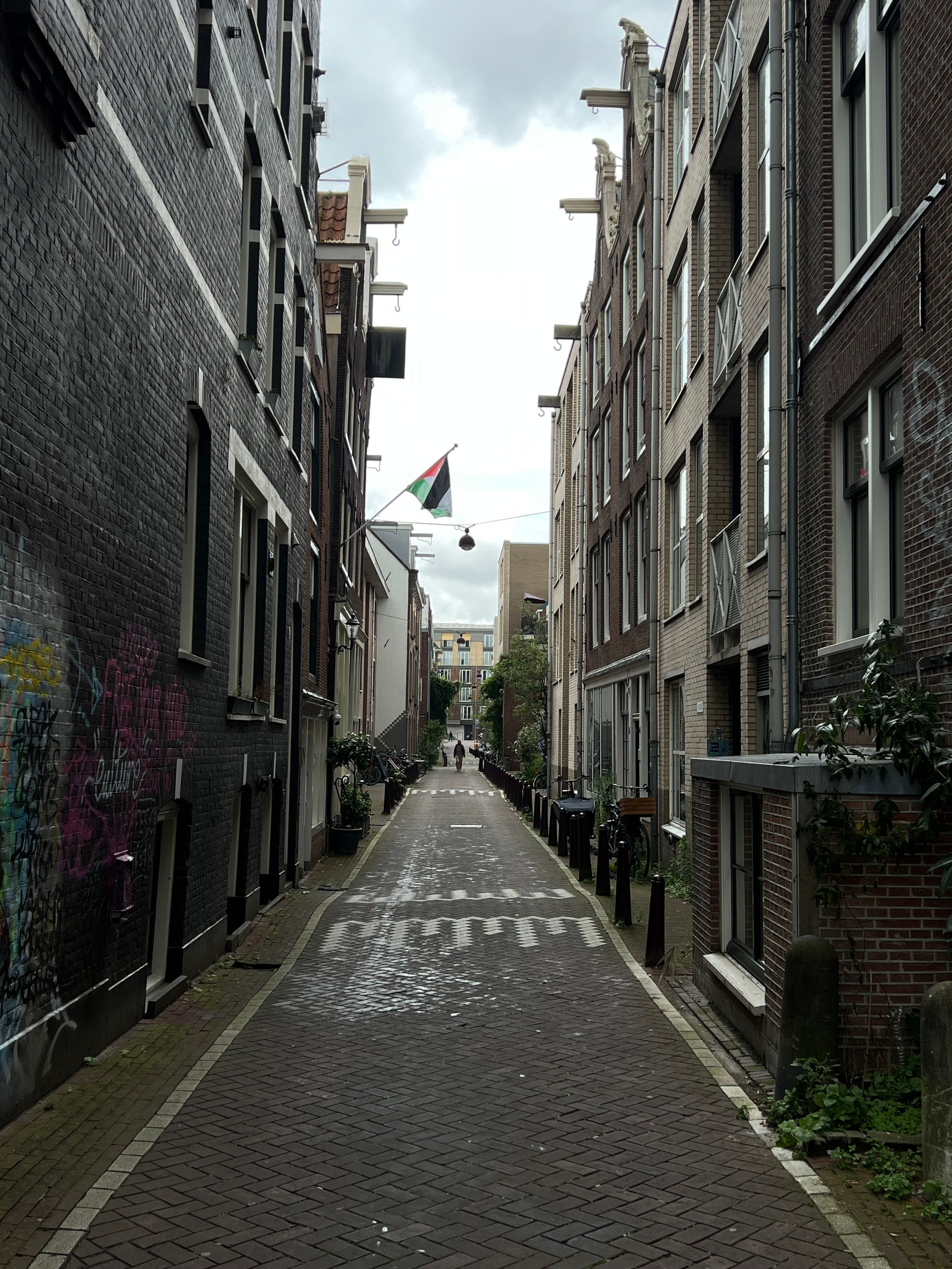 Charming Amsterdam Alley on a Cloudy Day · Free Stock Photo