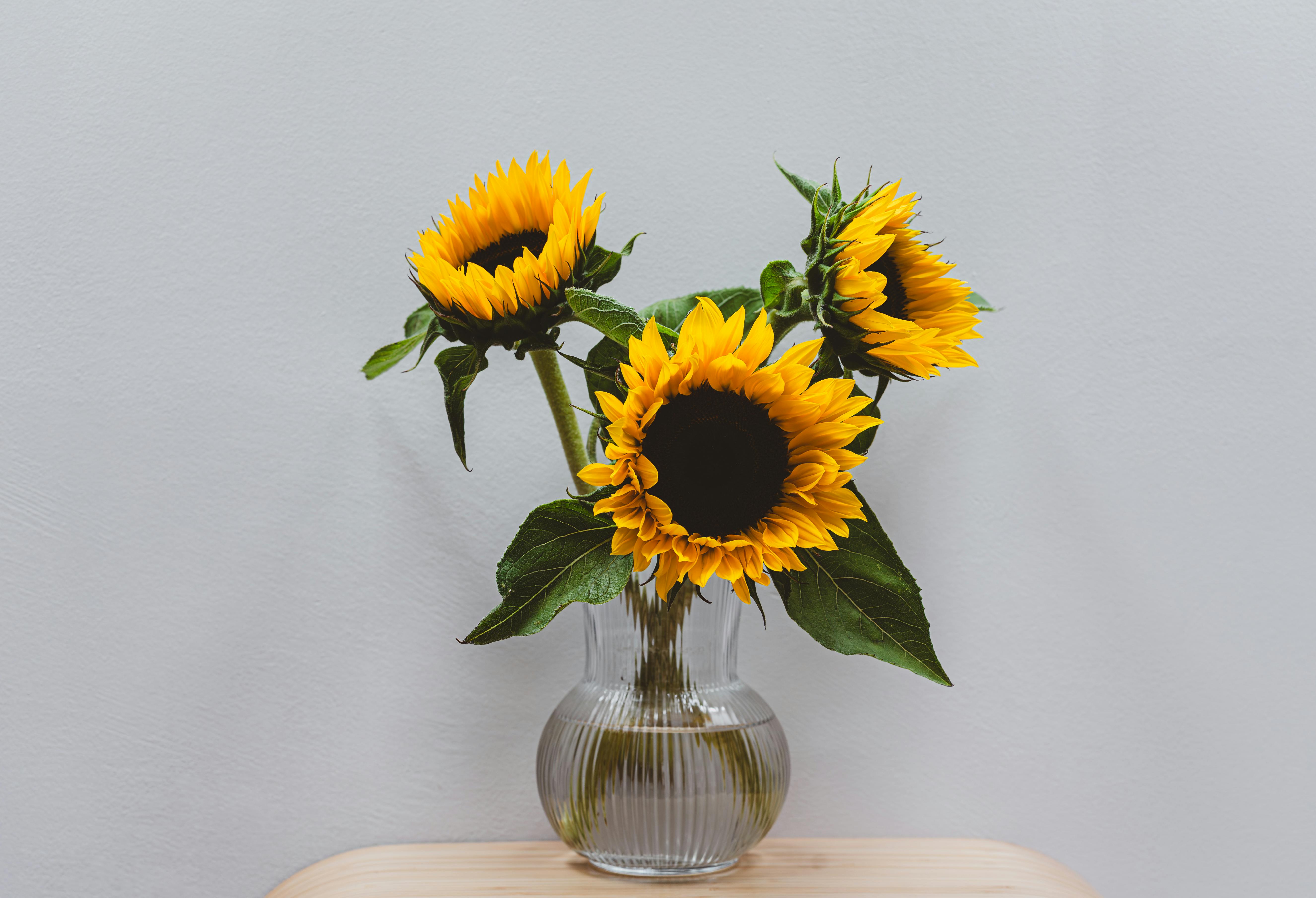 Aliaksei Semirski - Fotografi