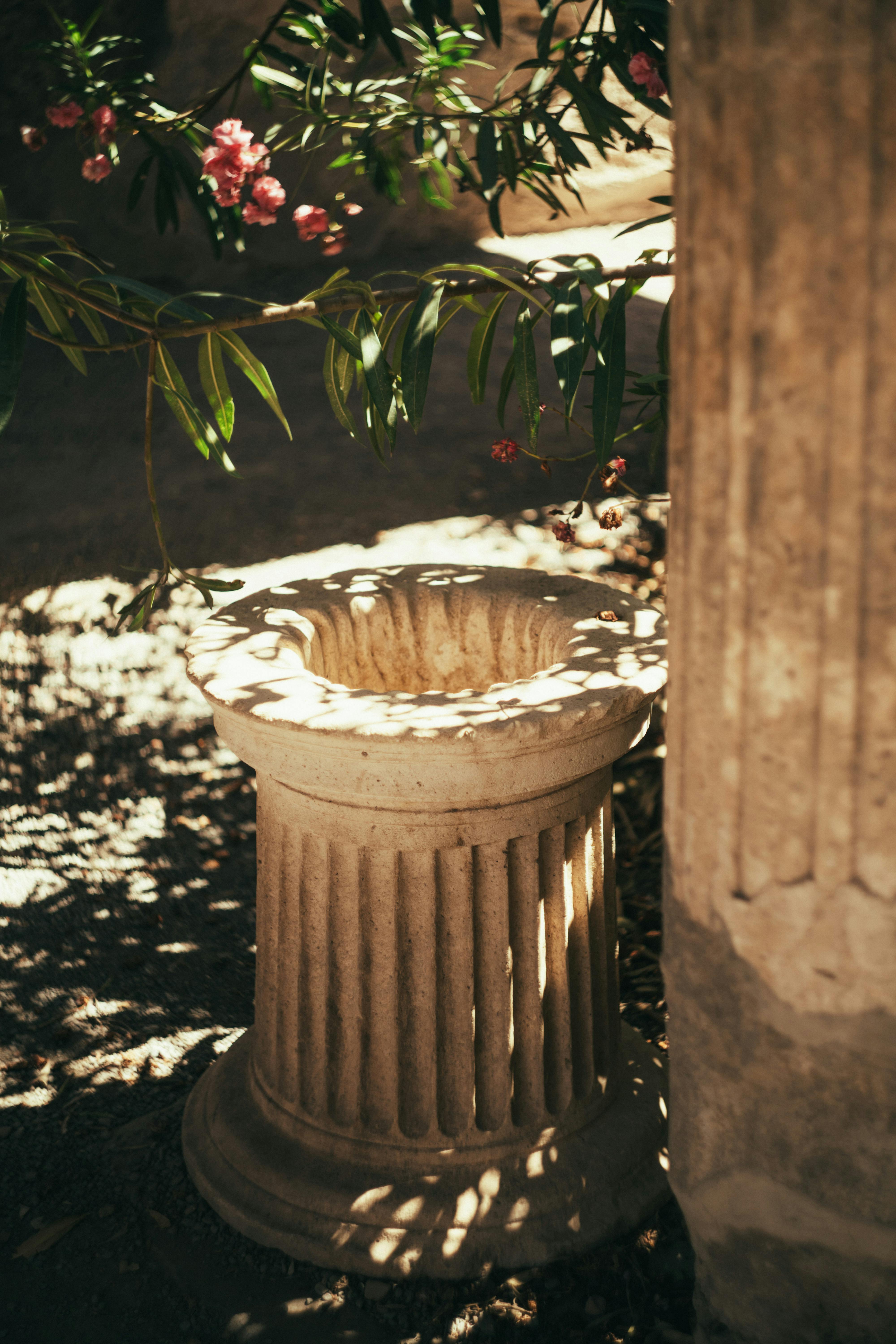 Greek Aesthetics Photos, Download The BEST Free Greek Aesthetics Stock ...