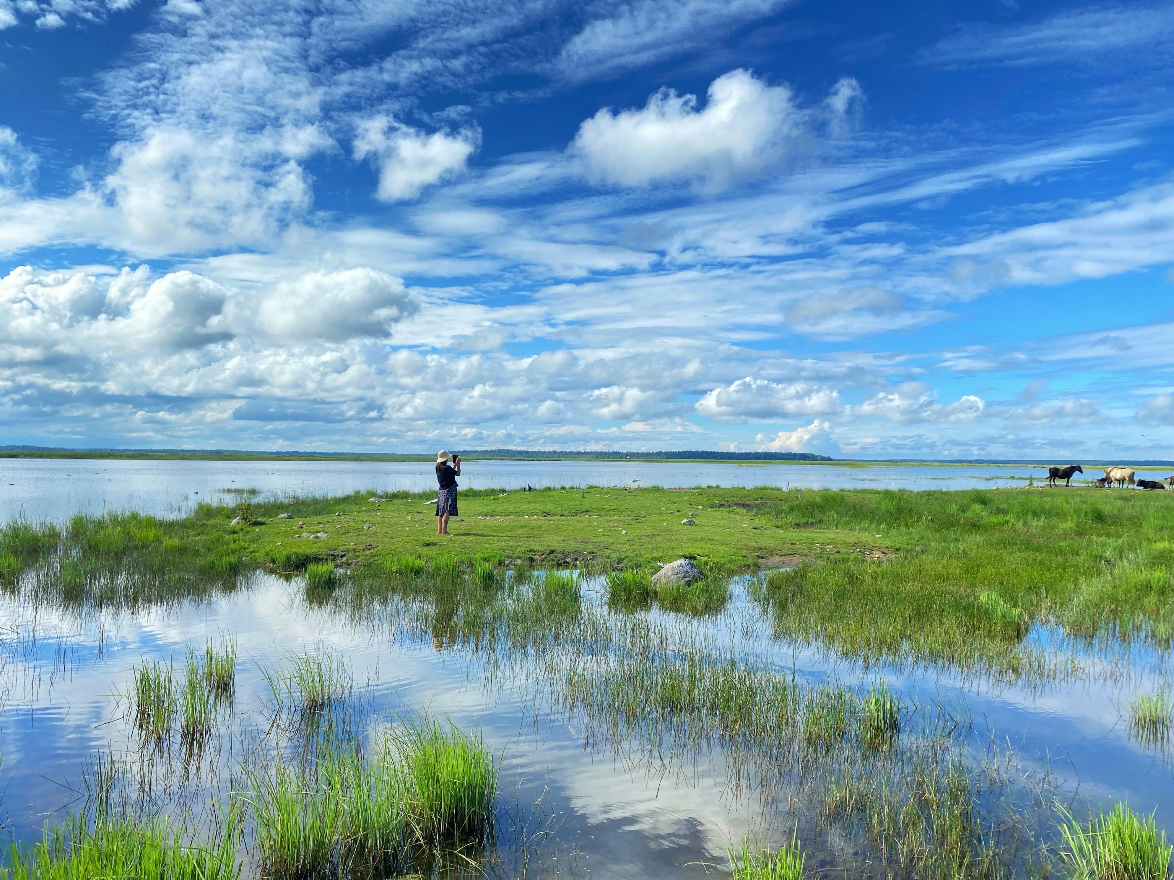 Depressing Land Filled With Hopeless, Aimless People Photos, Download ...
